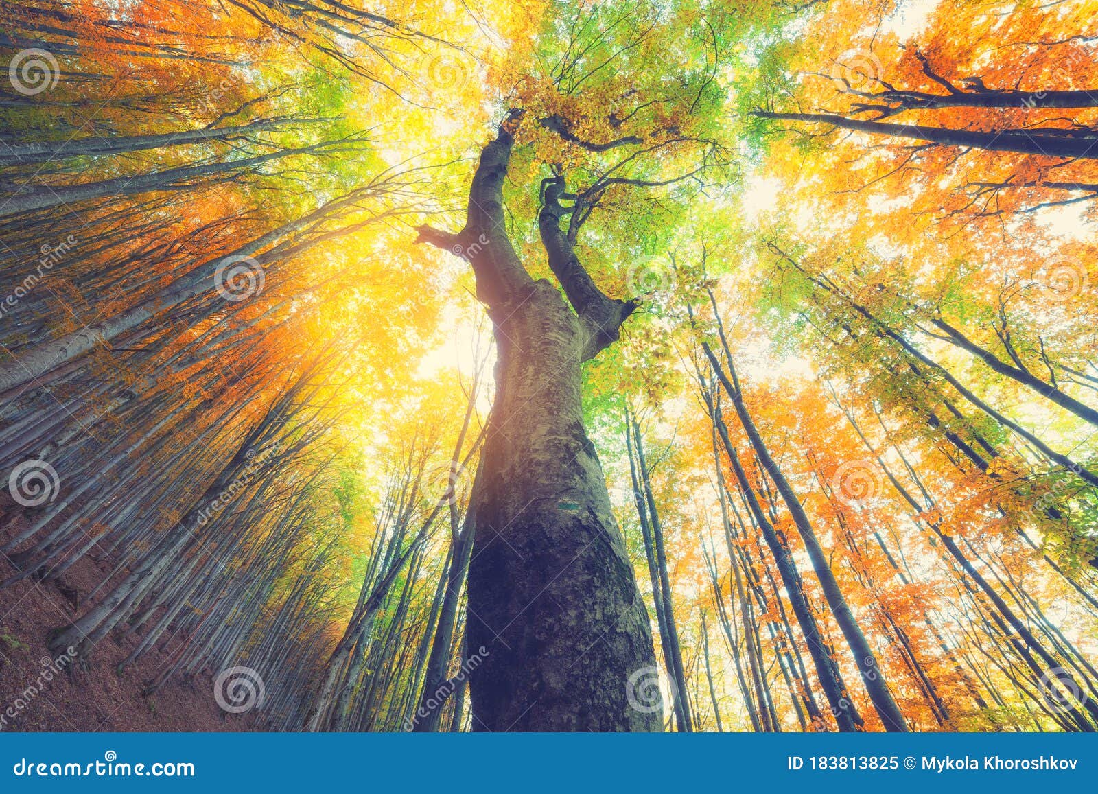 634 Colorful Road Background Vector Stock Photos - Free & Royalty-Free ...