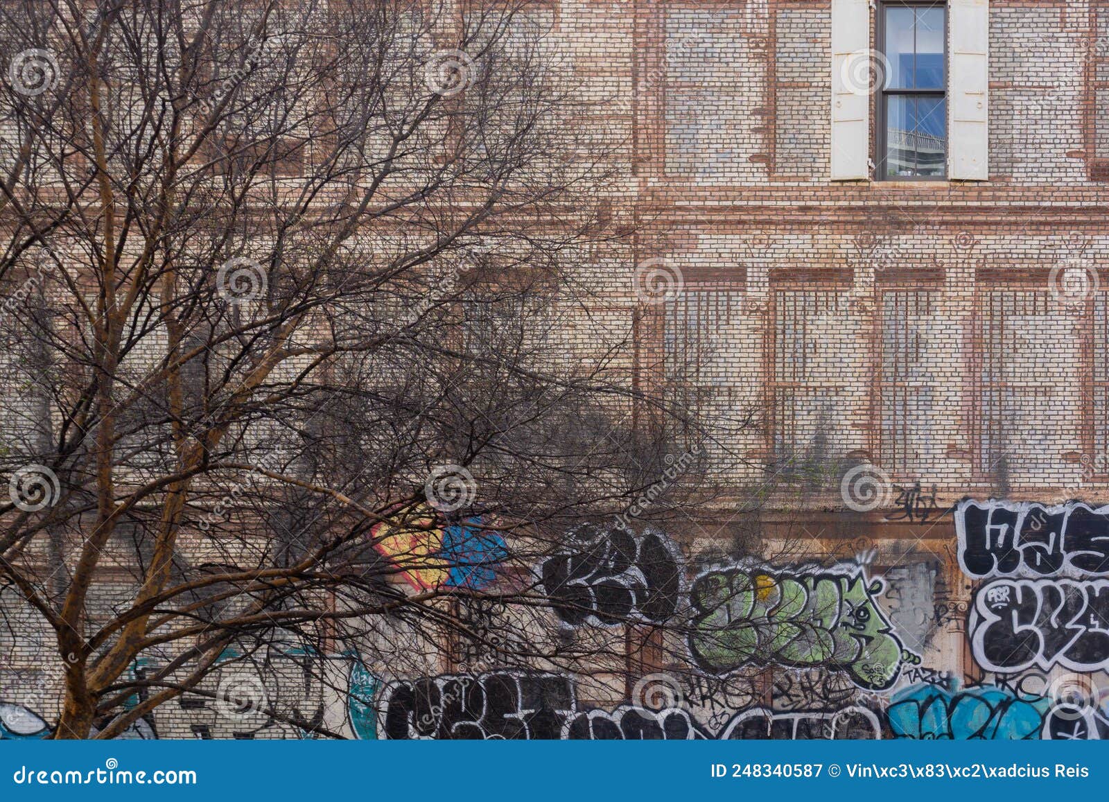 Autumn Tree and White Brick Building with Graffiti Editorial ...