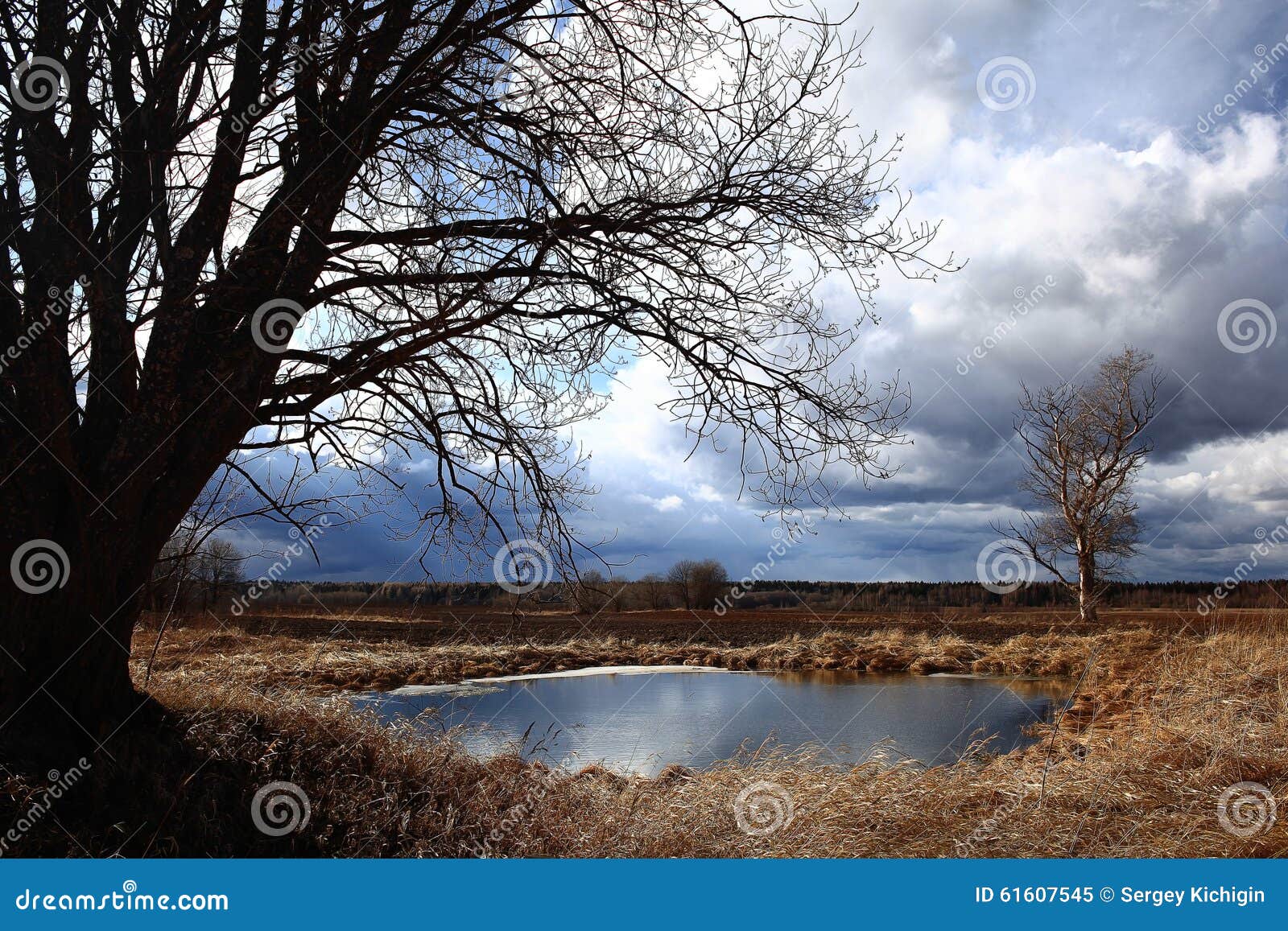 Autumn Tree in the Wind Field Stock Image - Image of landscape, blown ...