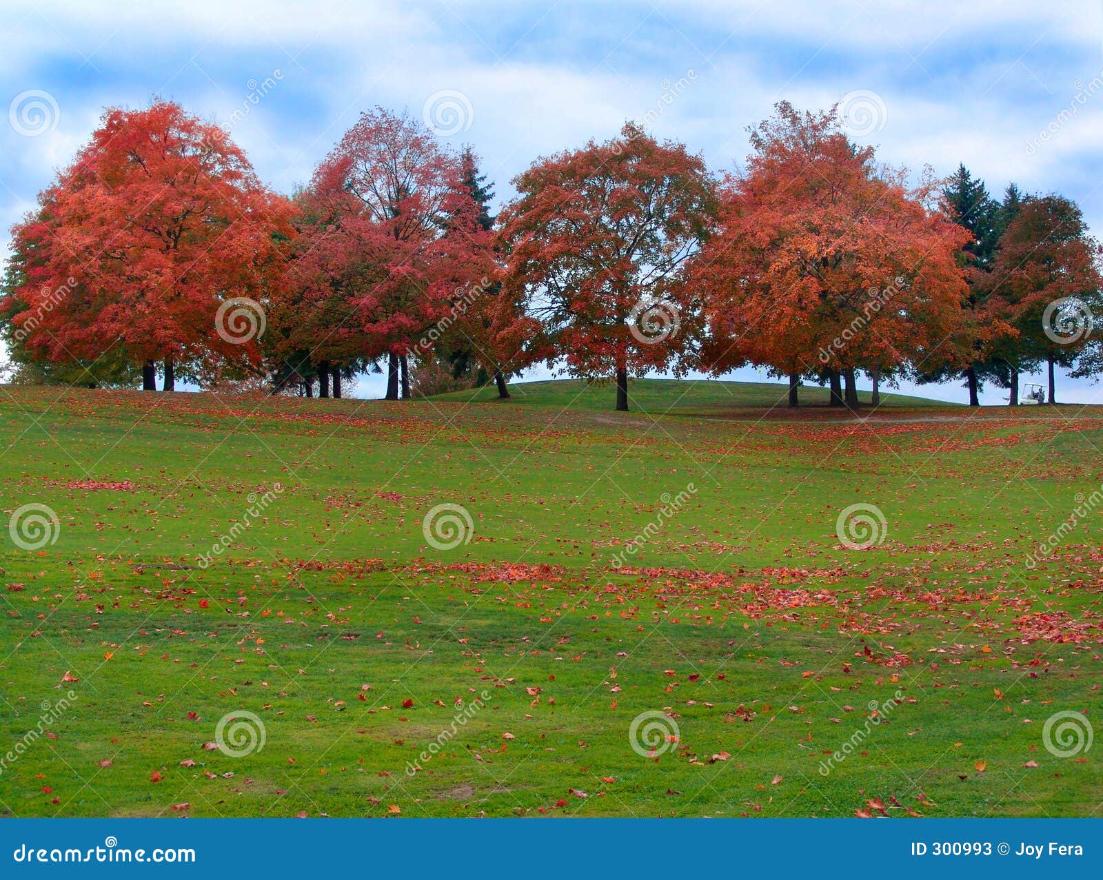Autumn Trees stock image. Image of pattern, nature, cart - 300993