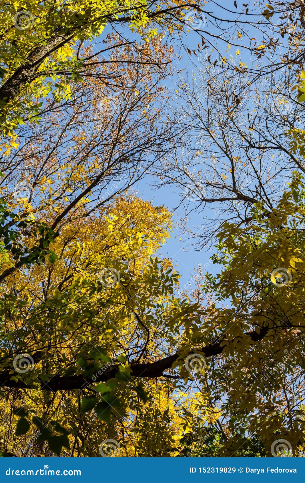 Scenic Sky At September Sunset. Colourful Night Sky. Stock Photo ...