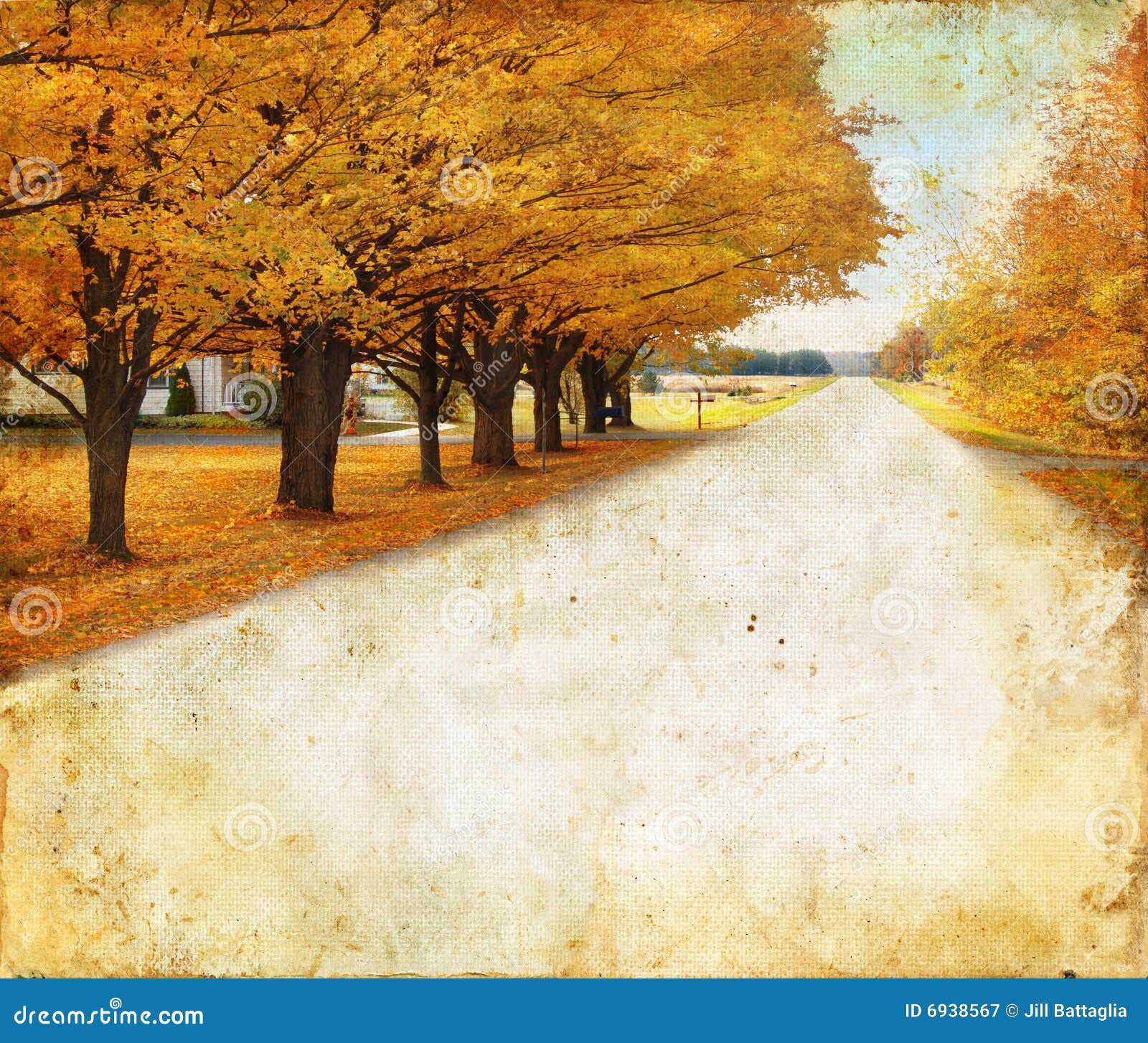 Autumn Trees Along Rural Road on Grunge Background Stock Image - Image ...