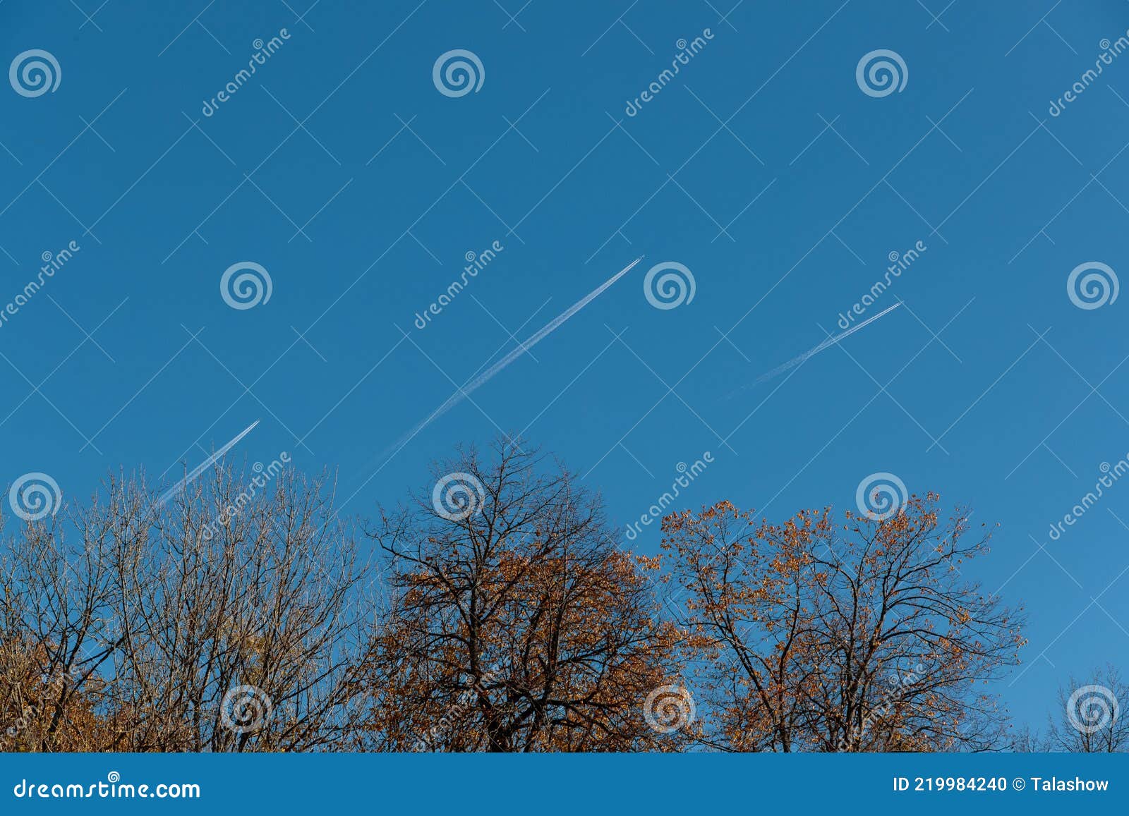 Autumn Trees on the Background of Three Flying Planes Stock Photo ...