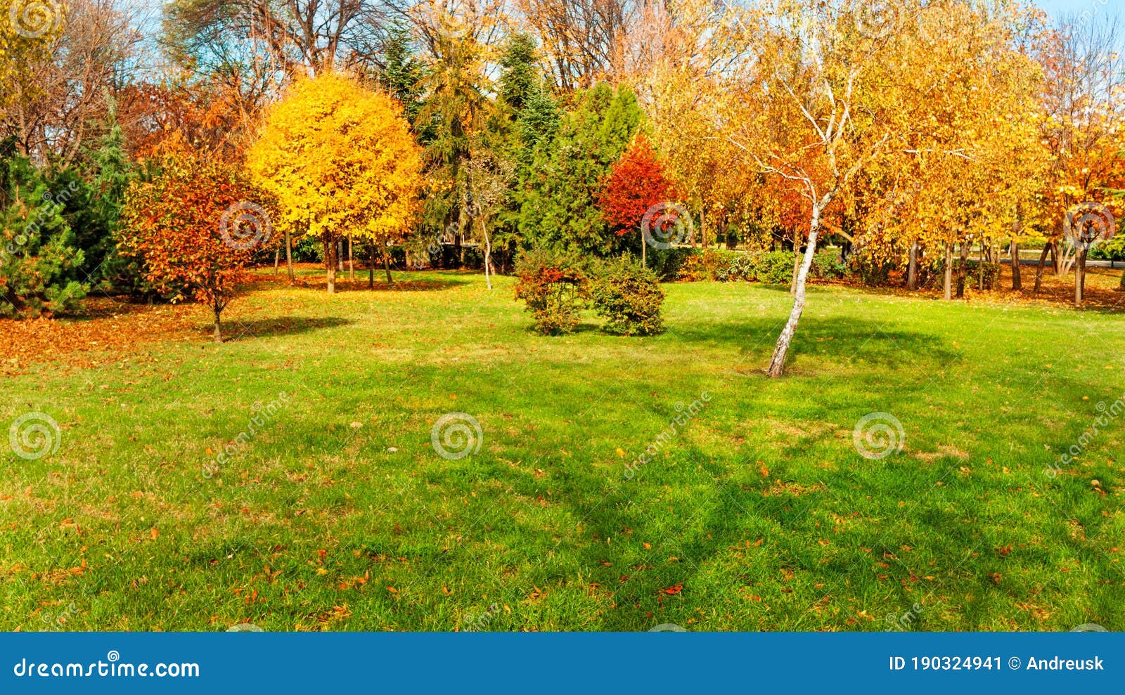 Autumn Trees at Backyard and Garden Stock Image - Image of green ...