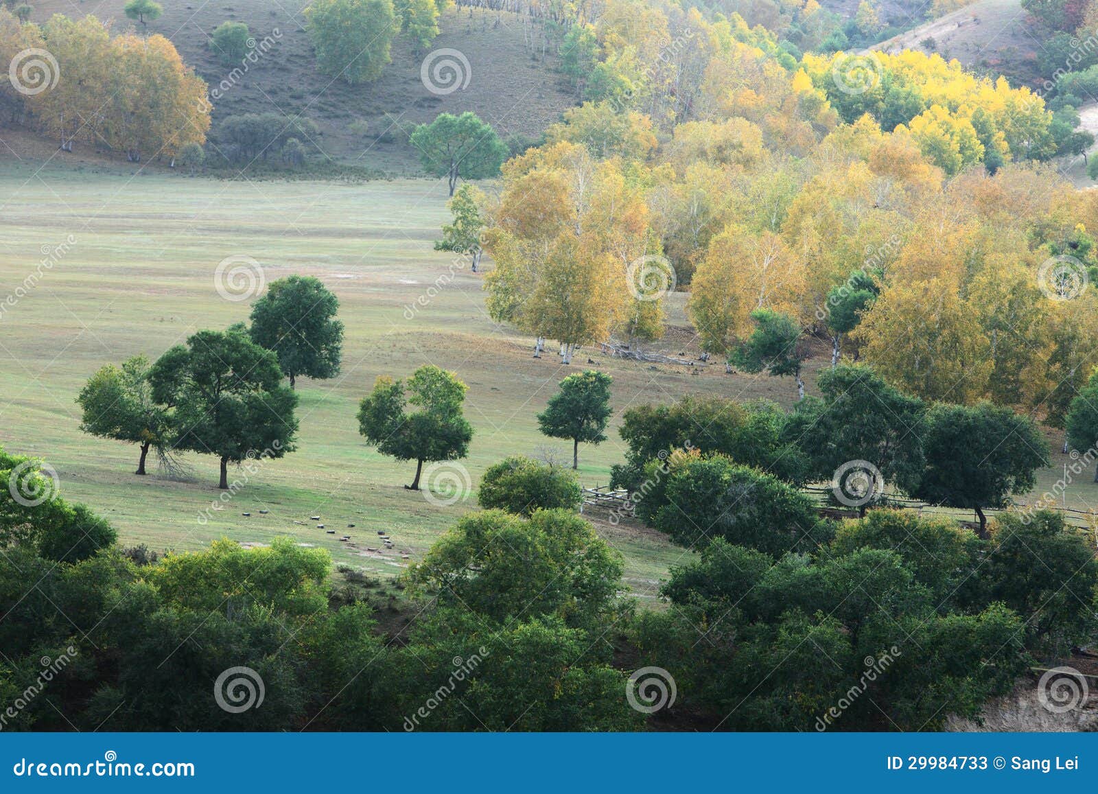 Autumn trees in grassland stock image. Image of beautiful - 29984733