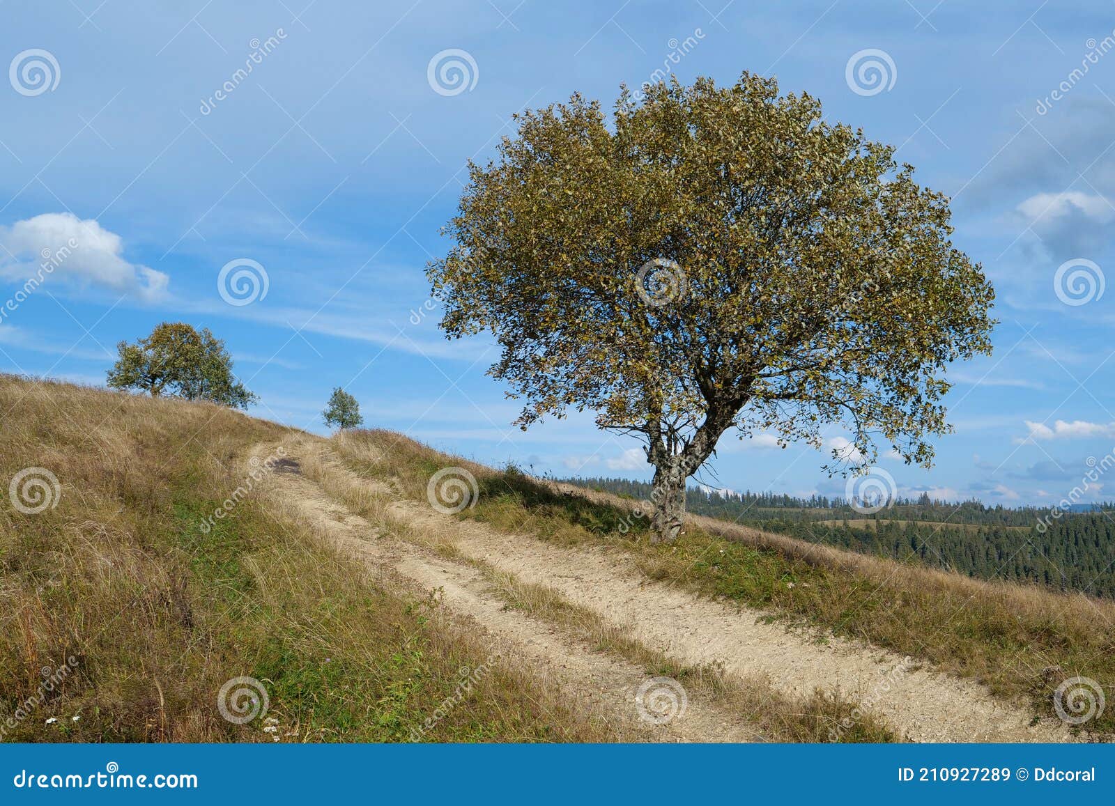 Autumn Trees and Beautiful Clouds Stock Image - Image of europa ...