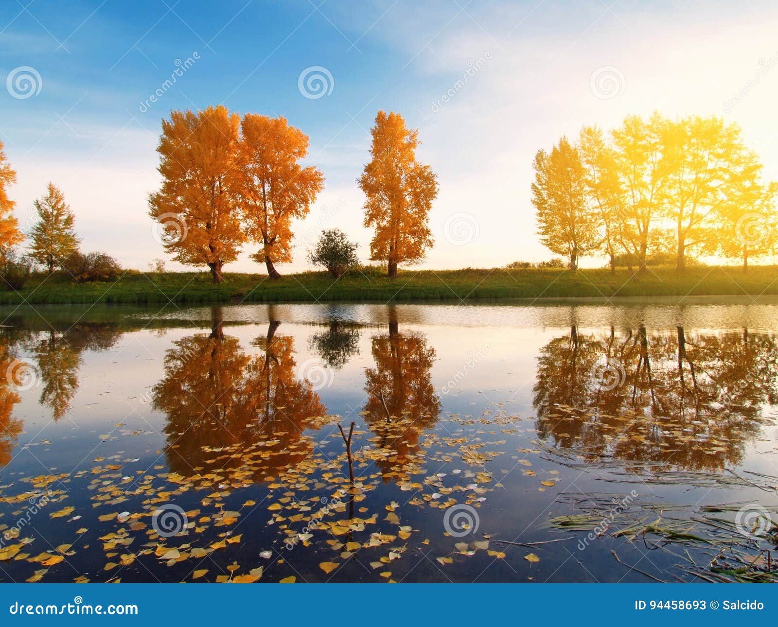 Autumn Trees Behind the River Stock Image - Image of tranquil, crystal ...