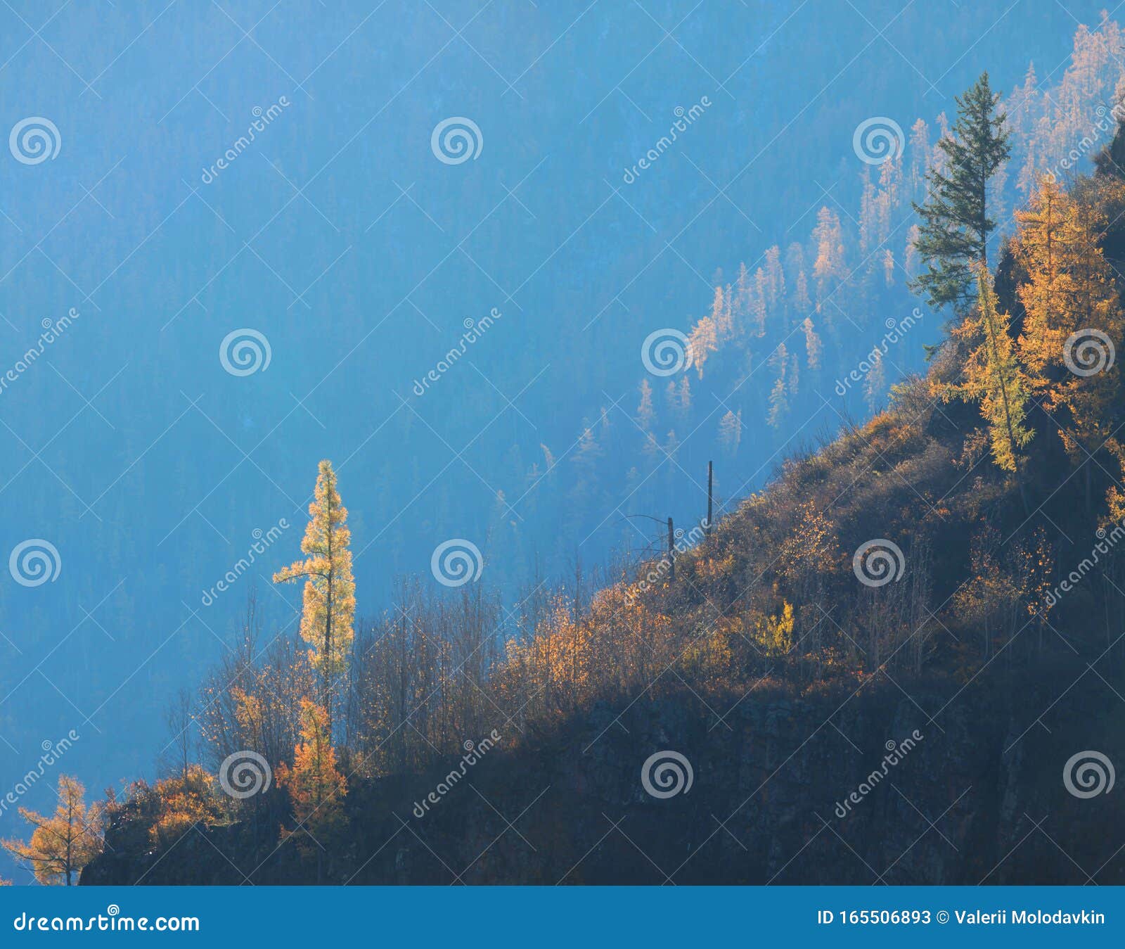 Autumn Trees, Blue Haze, Contrast Stock Image - Image of natural, color ...