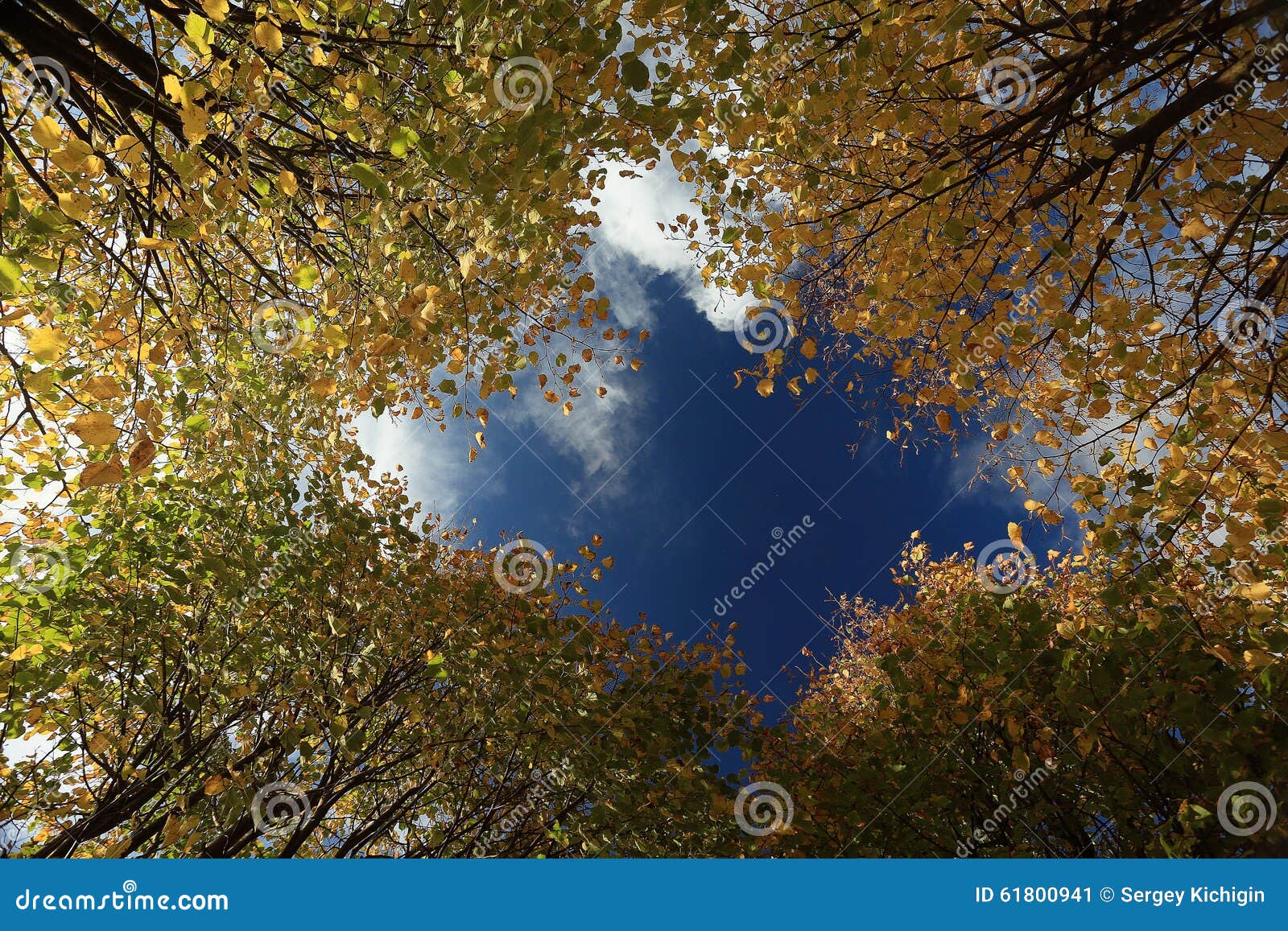 Autumn Trees among Blue Sky Stock Image - Image of background, park ...