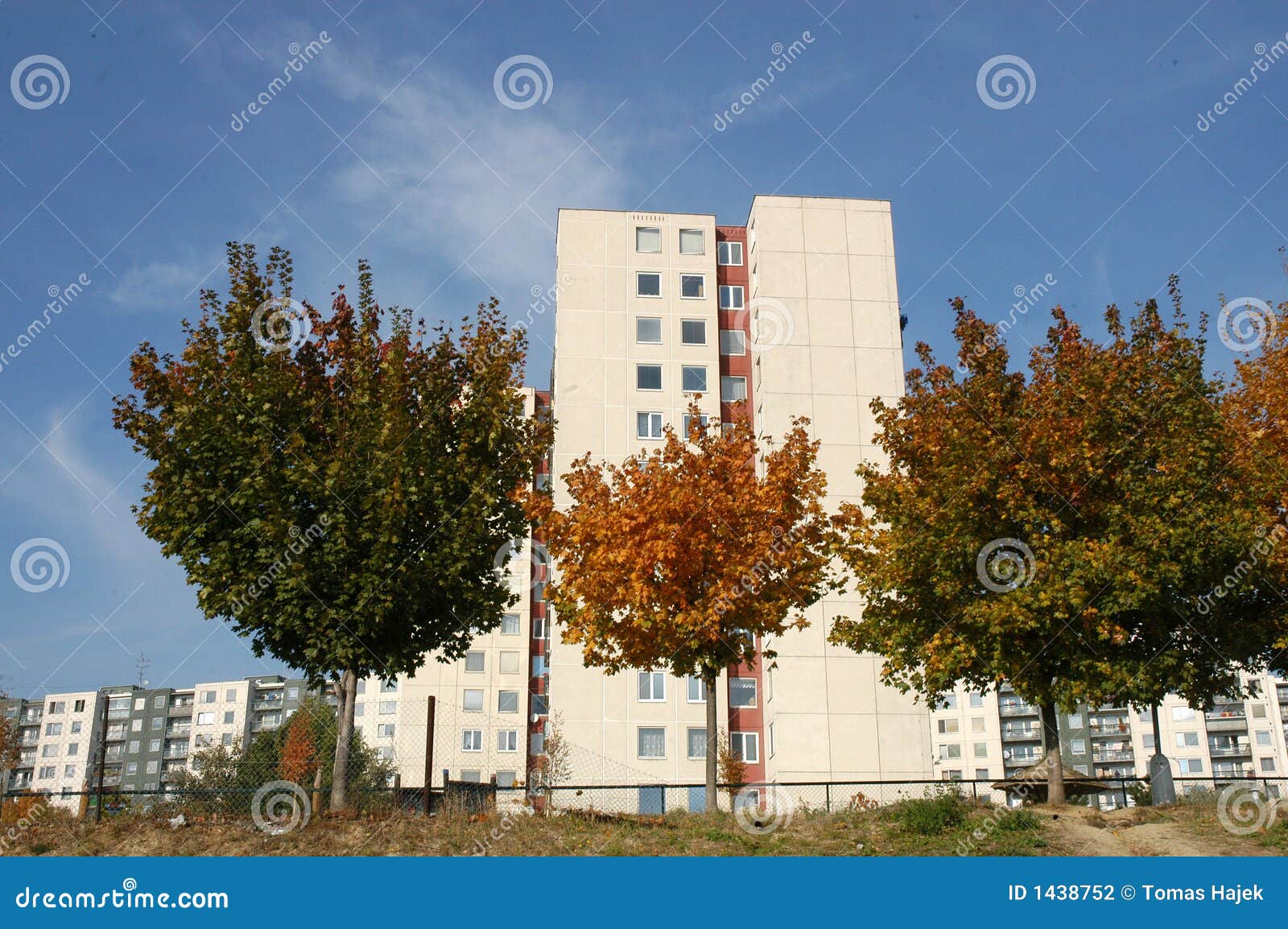Autumn trees in city stock photo. Image of outdoors, trees - 1438752