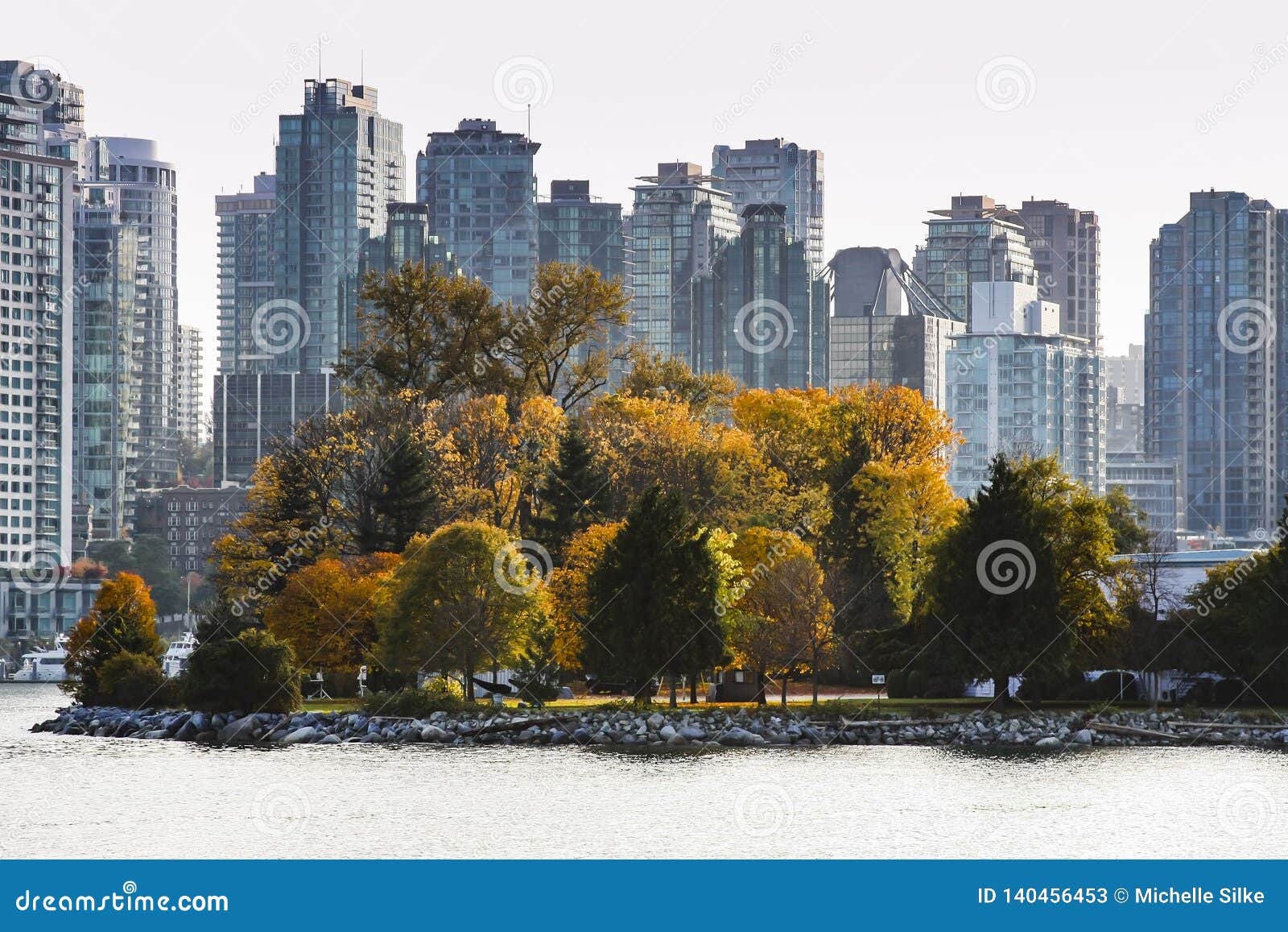 Autumn trees and the city stock image. Image of tree - 140456453