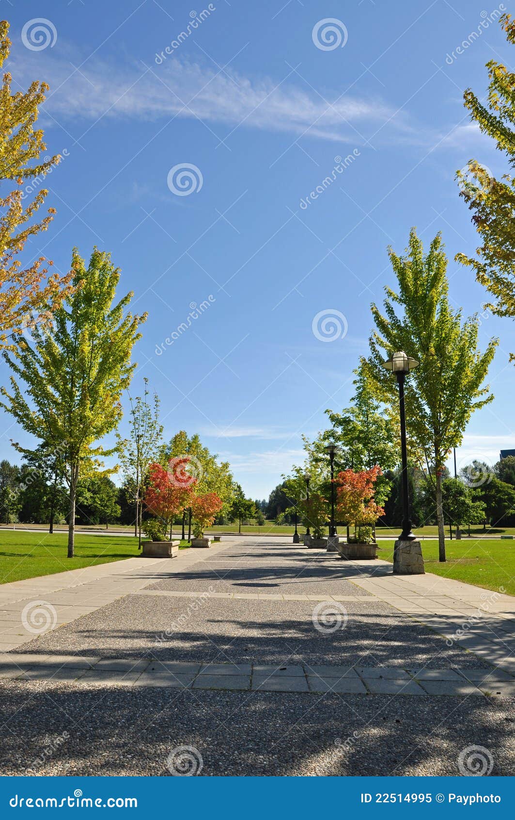 Autumn trees in city park stock image. Image of countryside - 22514995