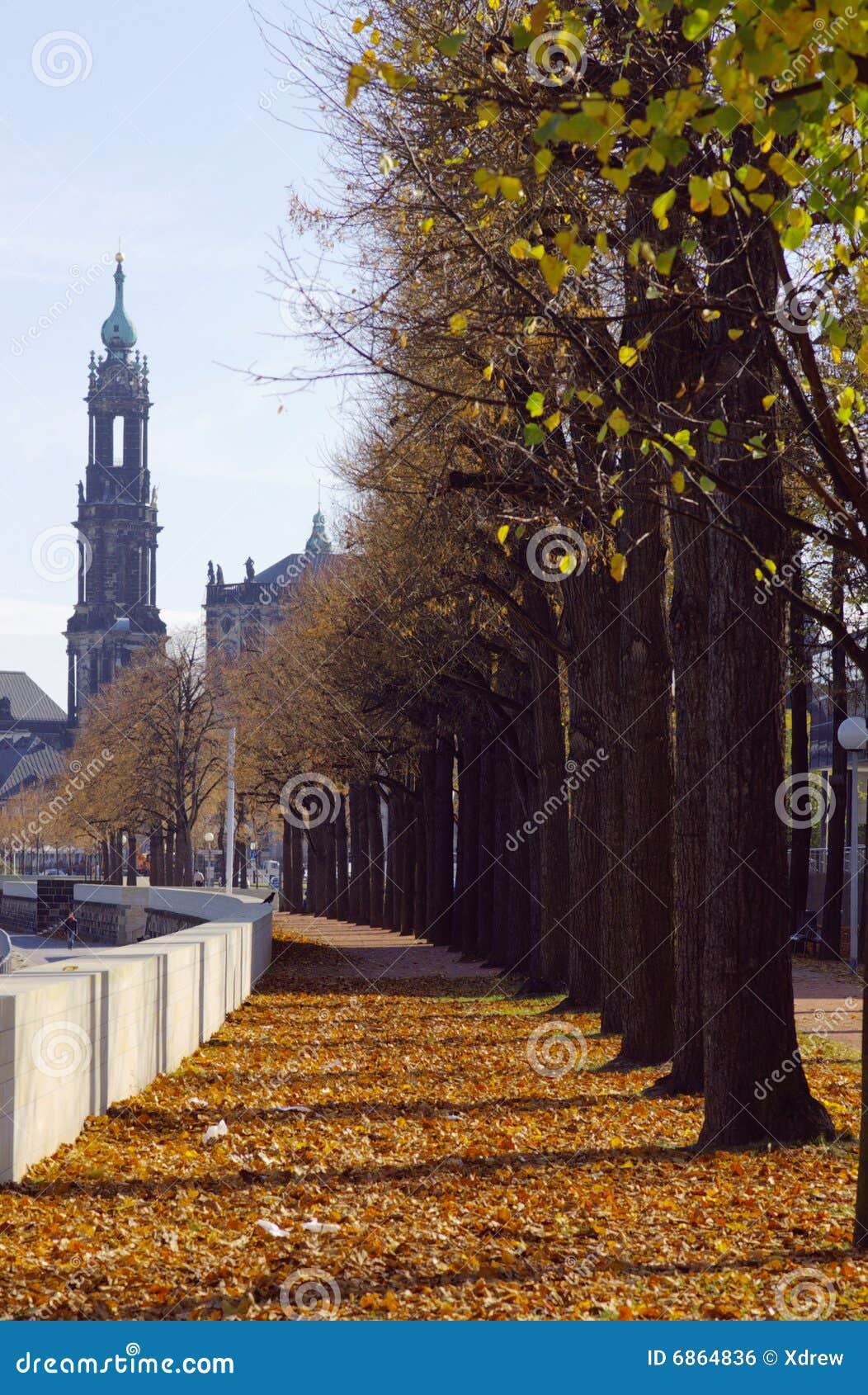 Autumn Trees in Dresden City Stock Photo - Image of scenic, germany ...