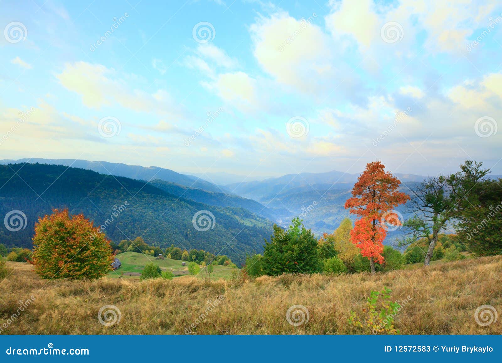 Autumn Trees on Evening Mountainside. Stock Image - Image of september ...