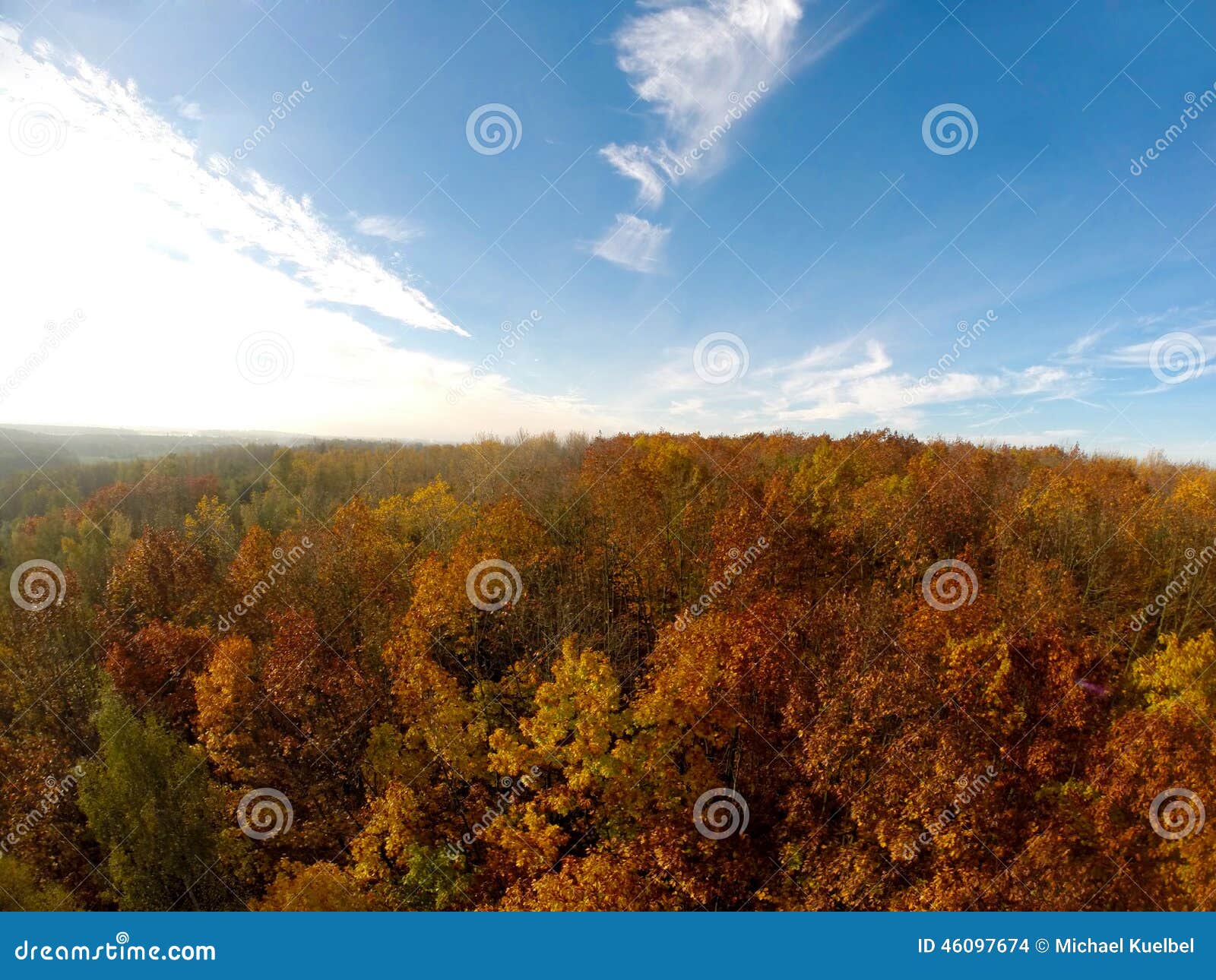 Autumn Trees Forest Aerial View Stock Photo - Image of view, landscape ...