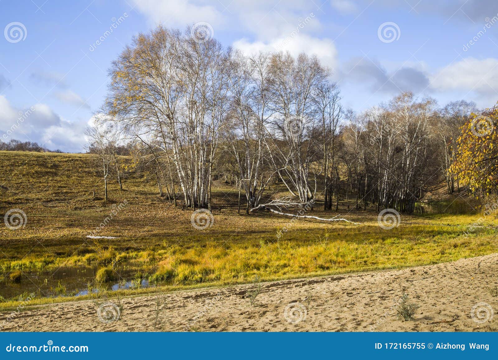 Trees on the hillside stock image. Image of color, farm - 172165755