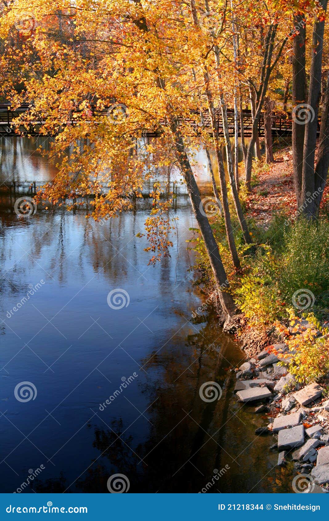 Autumn trees by the lake stock photo. Image of scenic - 21218344