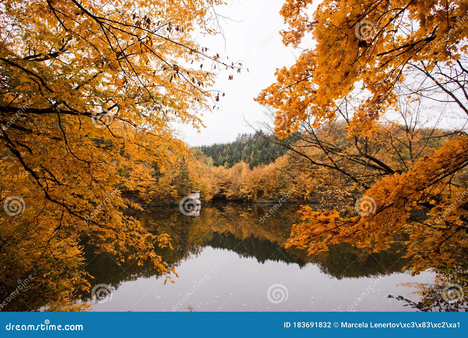 Autumn Trees and Lake with Reflection Stock Photo - Image of leaves ...