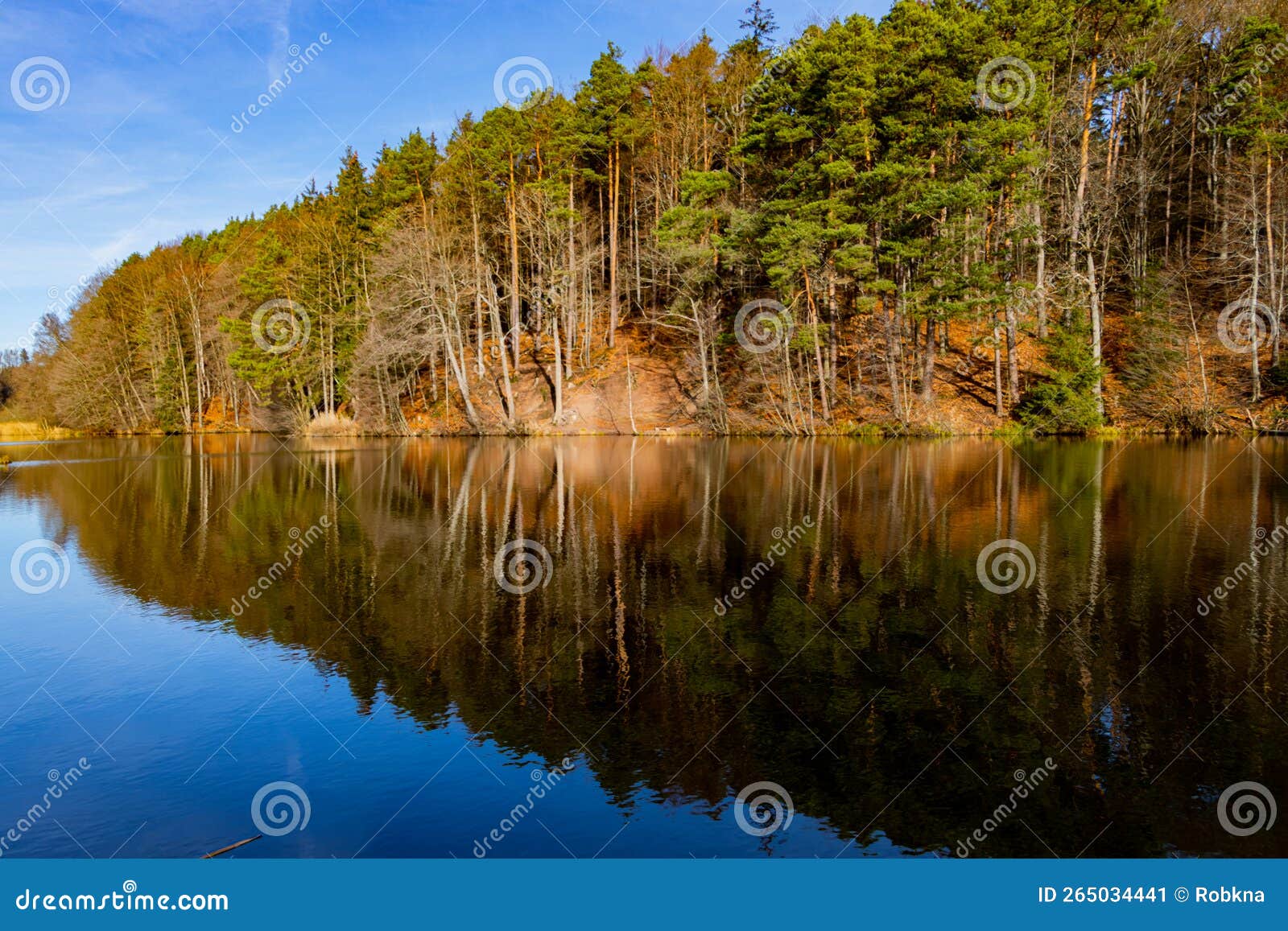 Autumn Trees at the Lakeshore Stock Image - Image of tranquil ...