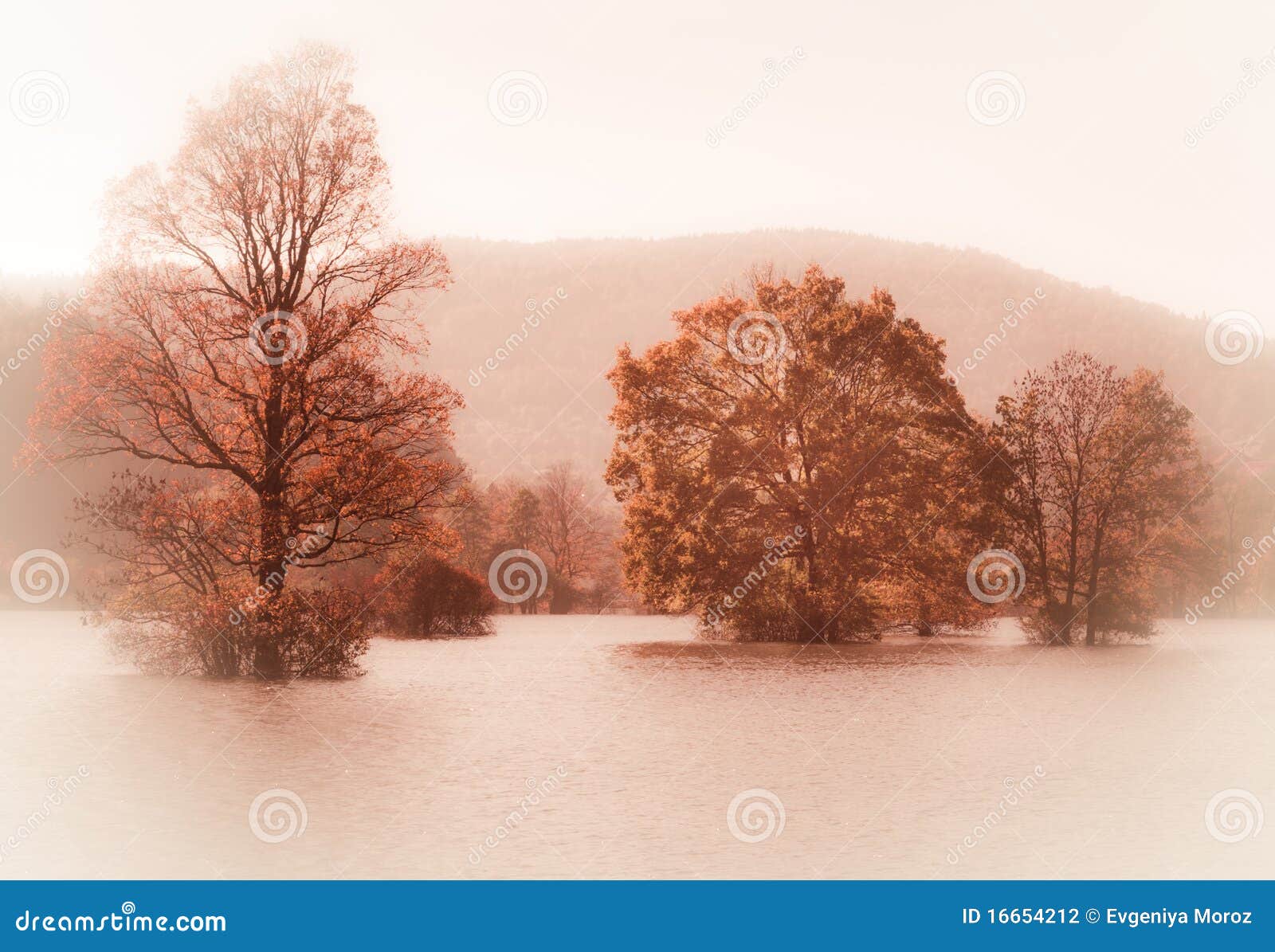 Mist Flood Gates Royalty-Free Stock Image | CartoonDealer.com #32057890