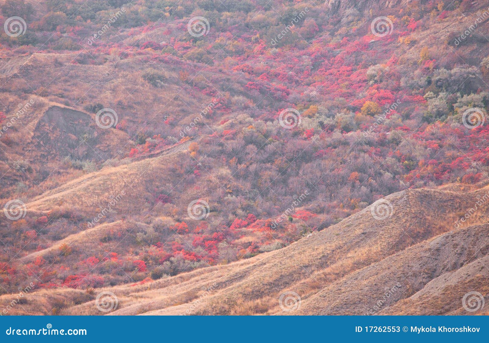 Autumn Trees on the Mountain Hills Stock Image - Image of orange ...
