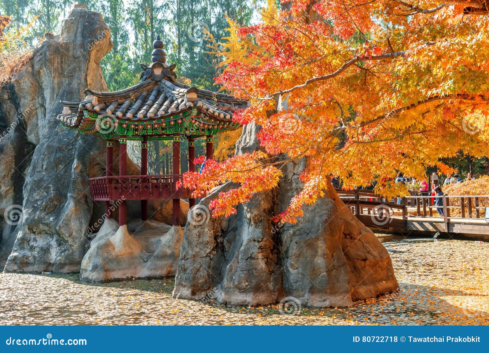 Autumn Trees in Nami Island, Korea Stock Photo - Image of gapyeong ...