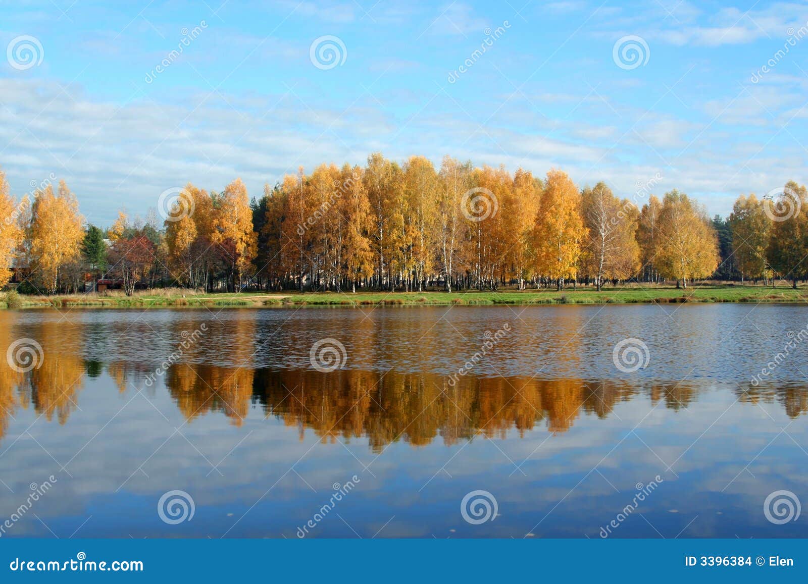 Autumn trees near lake stock photo. Image of tree, autumn - 3396384