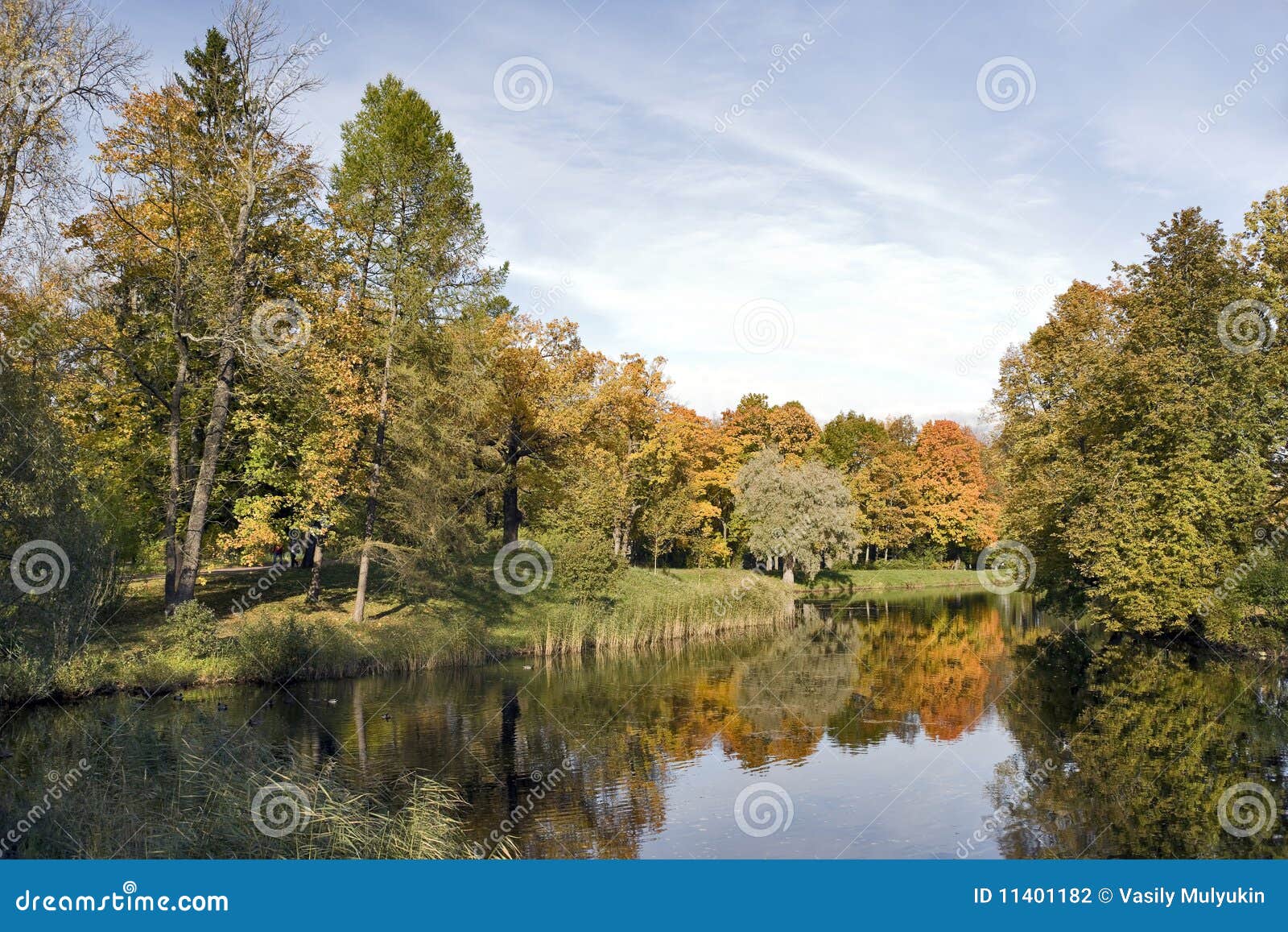 Autumn trees near river stock photo. Image of openair - 11401182