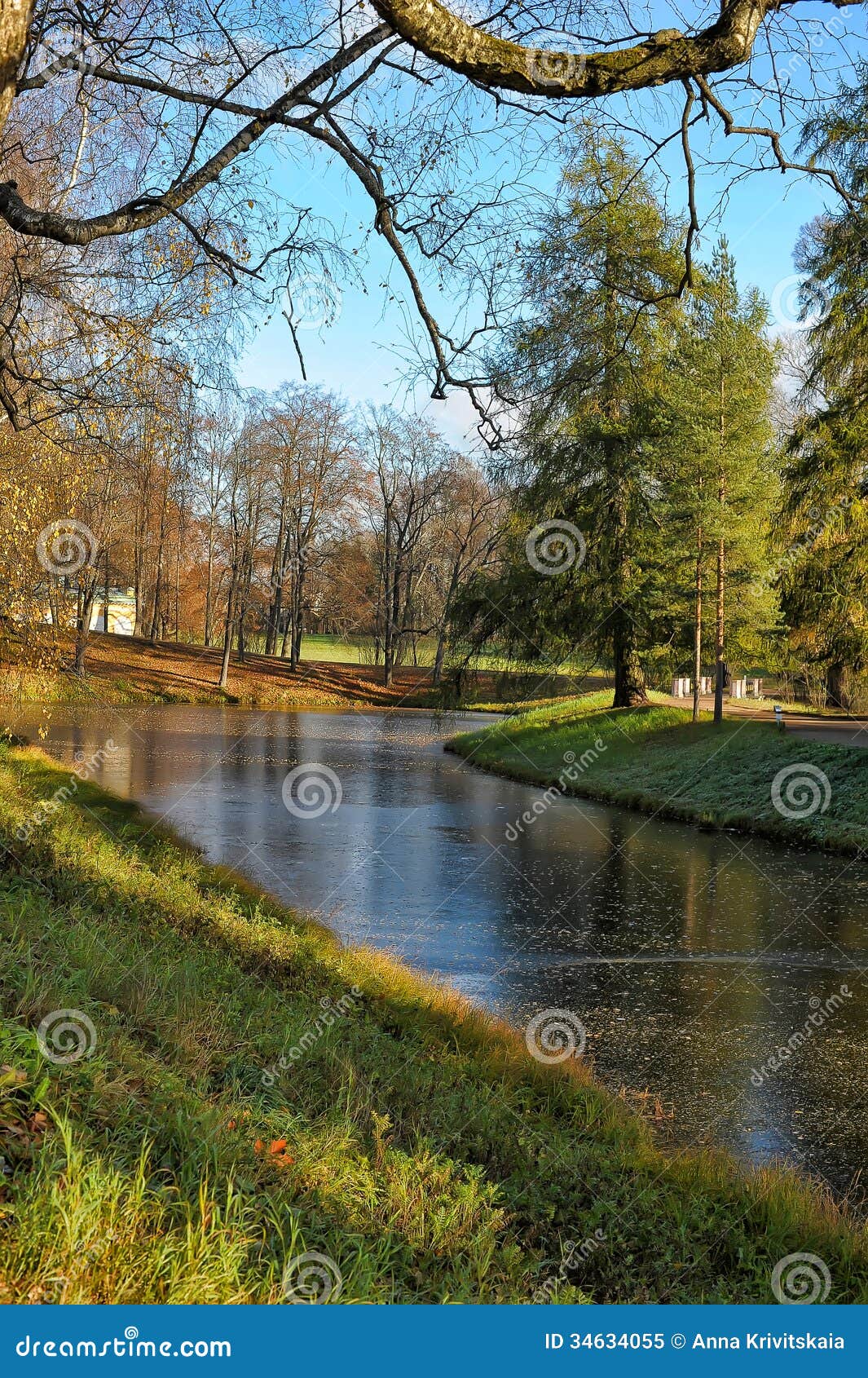 Autumn trees near river stock image. Image of flora, gold - 34634055