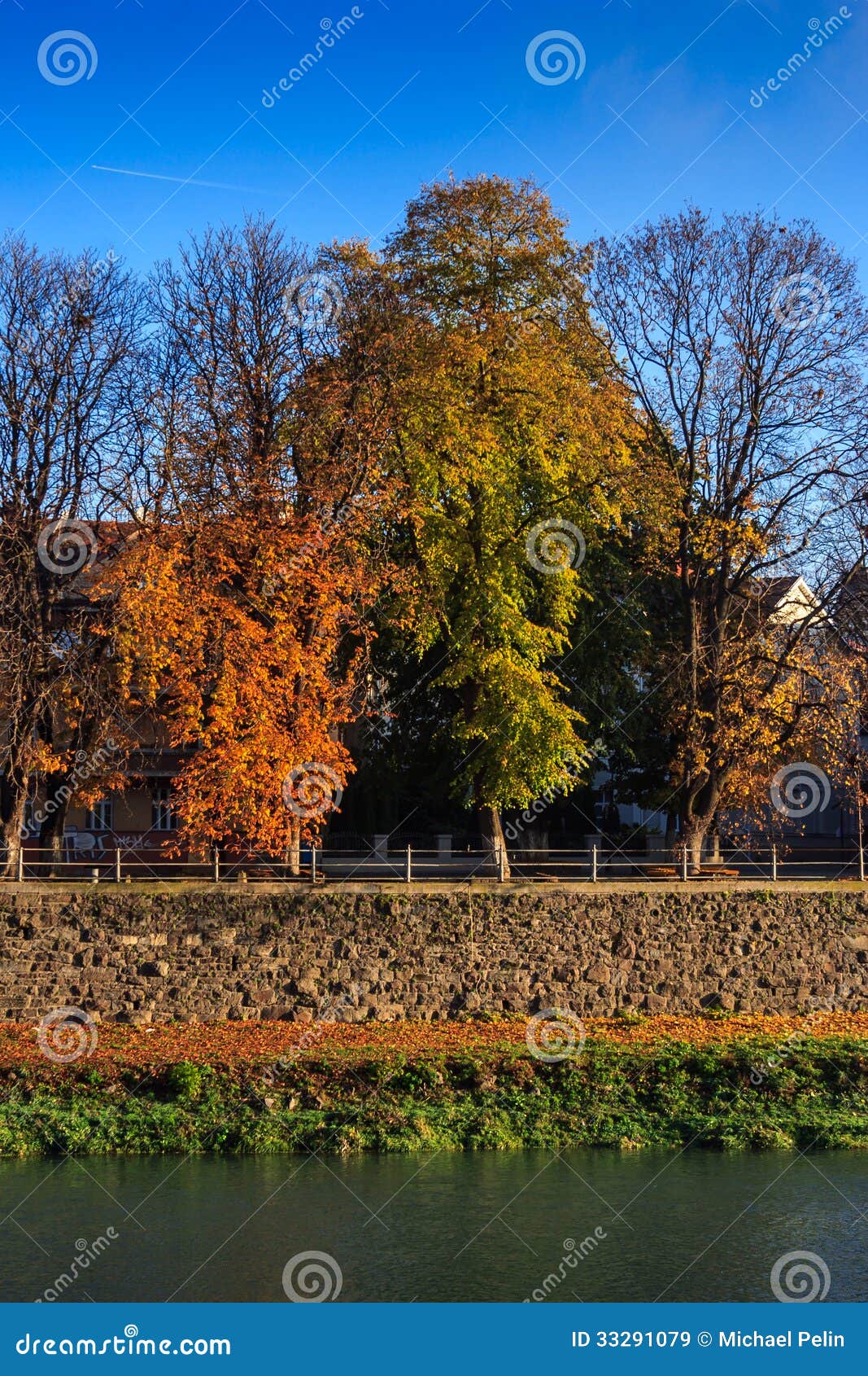 Autumn Trees Near the River Stock Image - Image of season, outdoor ...