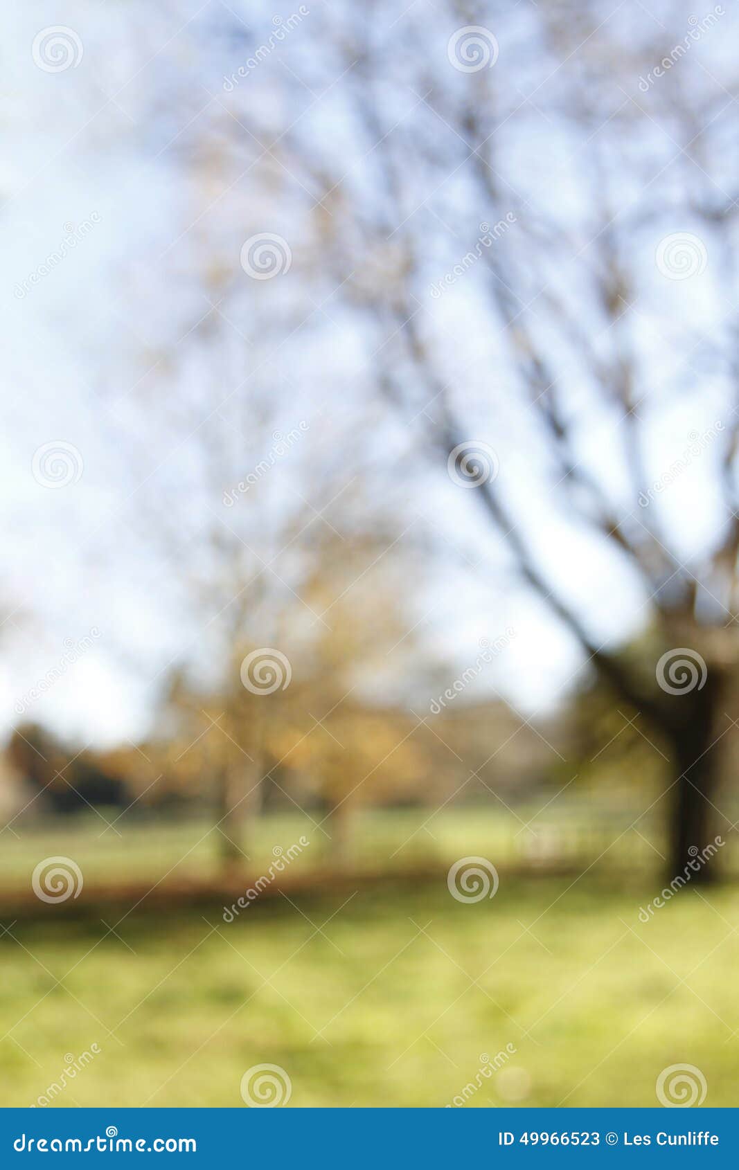 Autumn trees stock image. Image of outdoors, tranquil - 49966523