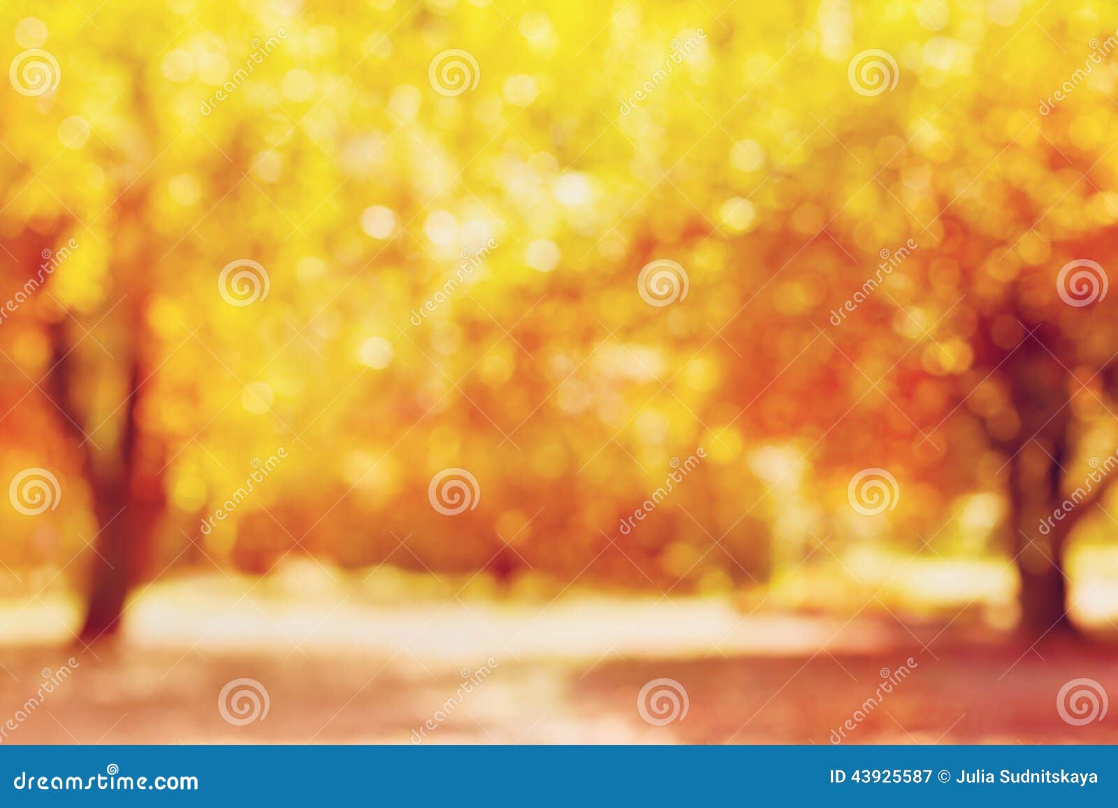 Autumn trees out of focus stock image. Image of glowing - 43925587