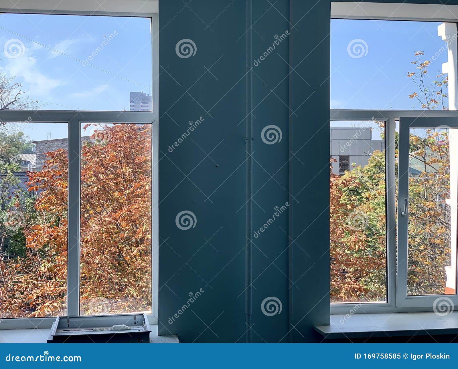 Autumn Trees Outside the Window Stock Image - Image of outside ...