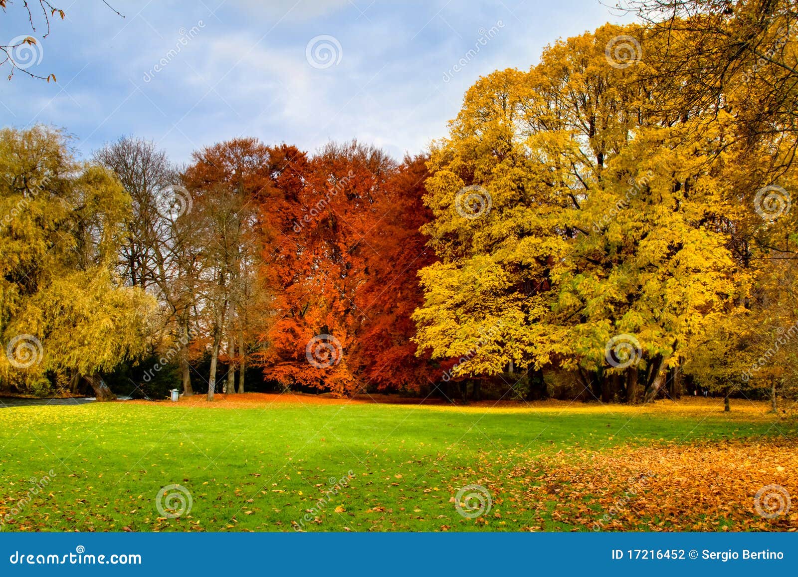 Autumn trees in park stock photo. Image of trees, woodland - 17216452