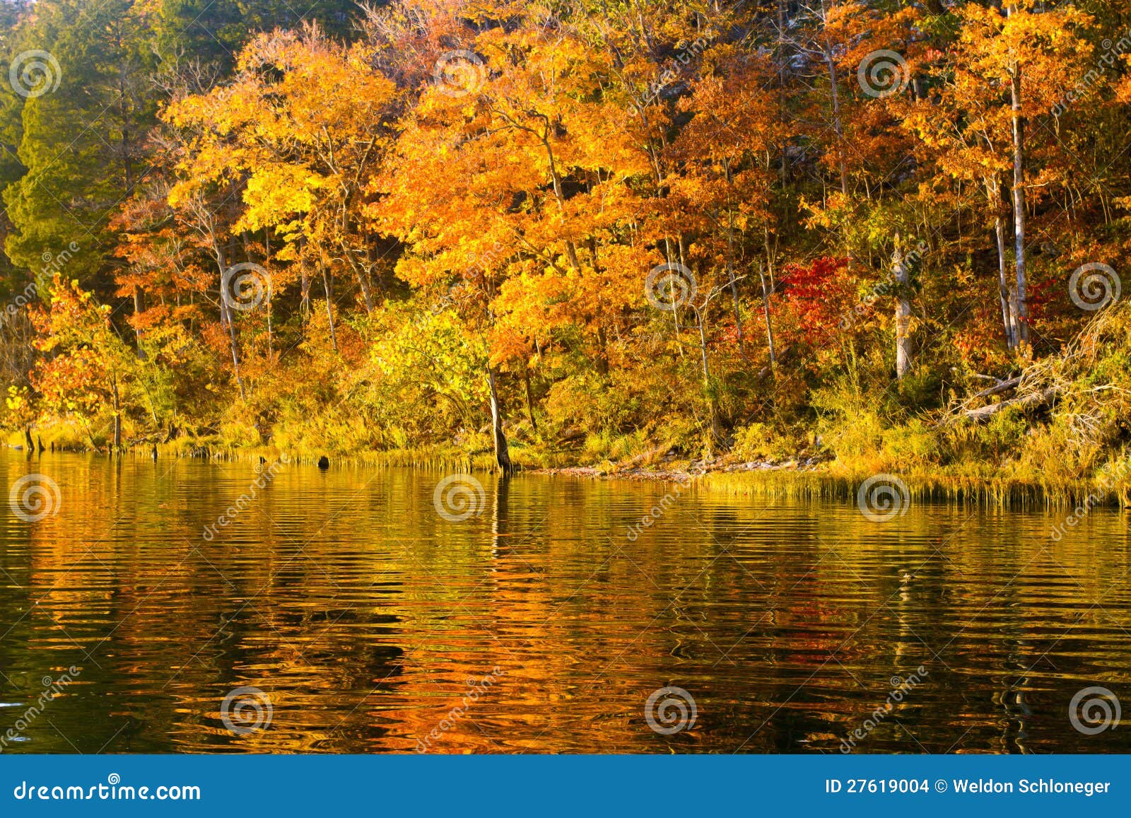 Autumn Trees Reflected in Lake Stock Photo - Image of forest, shoreline ...
