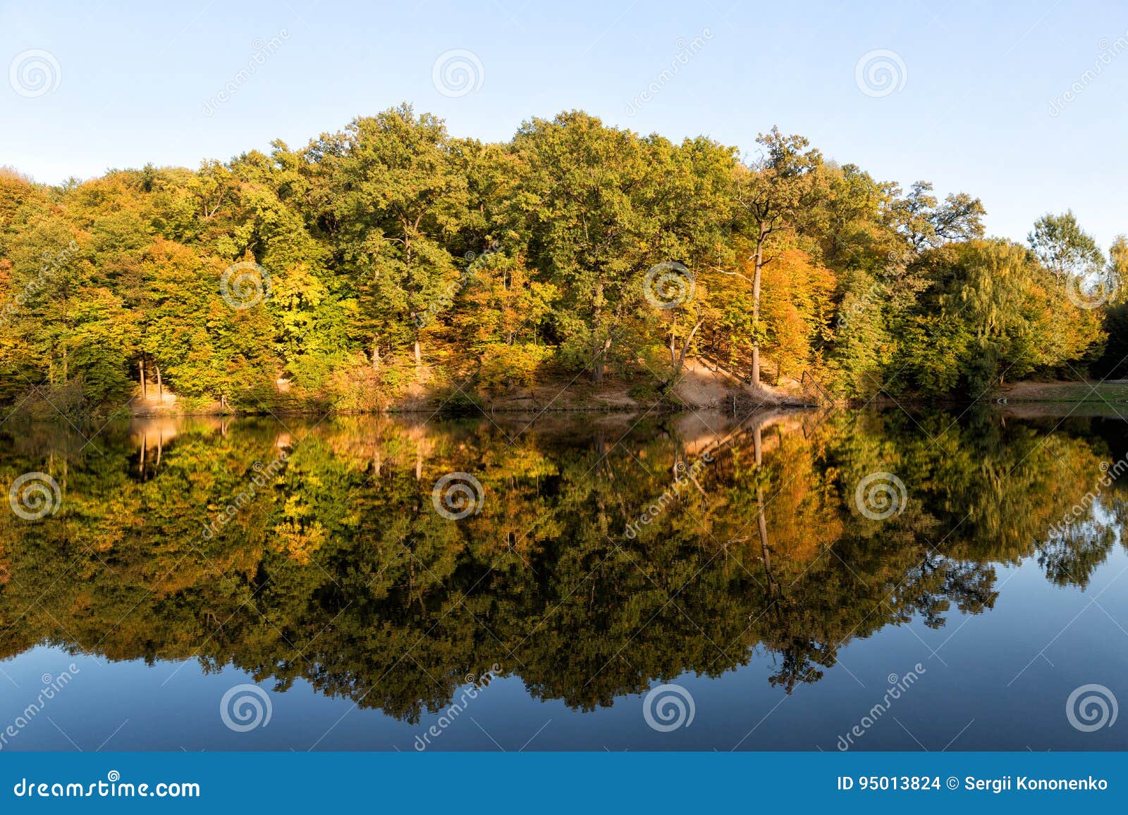 Autumn Trees are Reflected in the Lake Stock Photo - Image of autumn ...