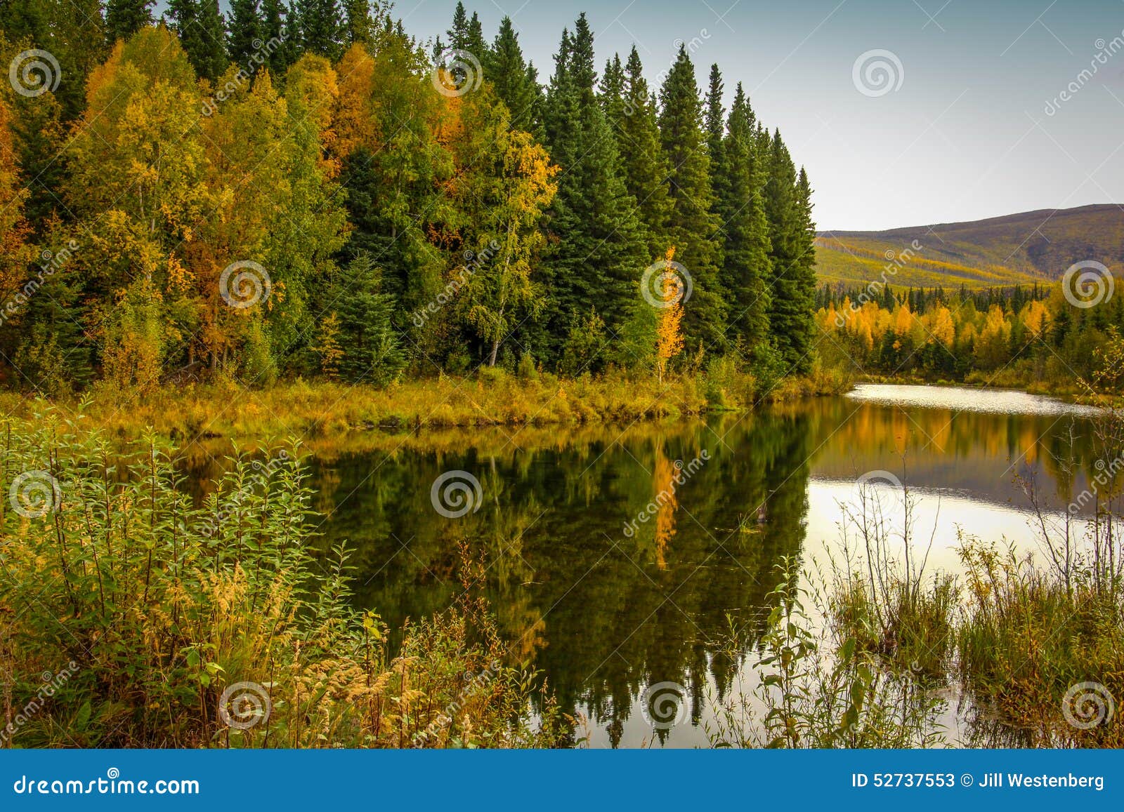 Autumn Trees Reflected in a Lake Editorial Stock Photo - Image of ...