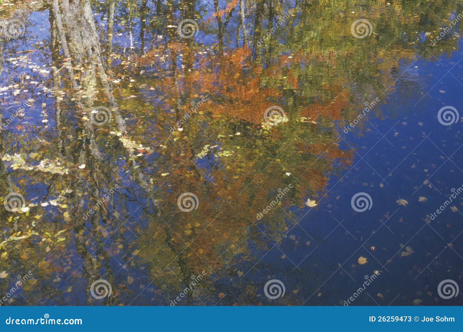 Autumn Trees Reflected in Water Stock Image - Image of leaves, serene ...