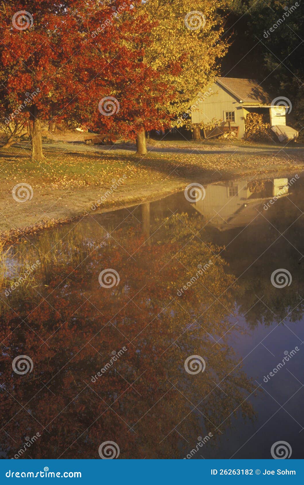 Autumn Trees Reflected in Water Stock Photo - Image of serene, seasonal ...