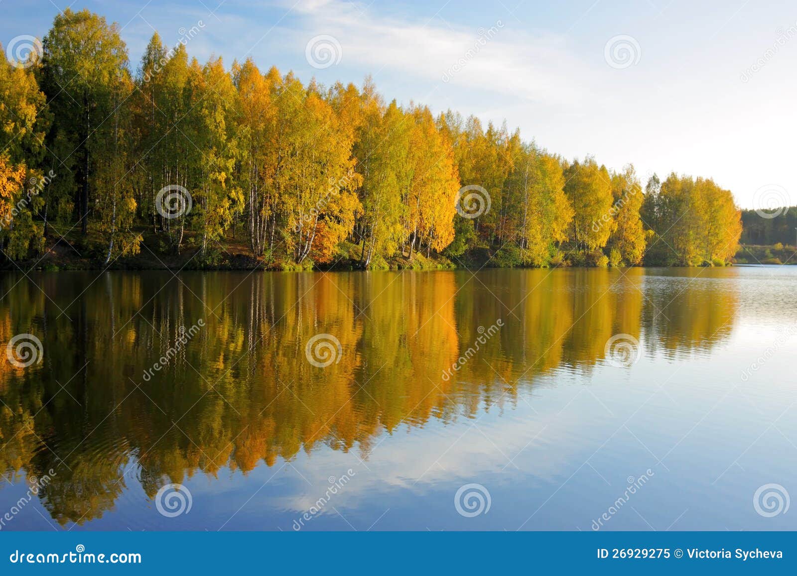Autumn. Trees Reflected in Water Stock Image - Image of fall, seasons ...