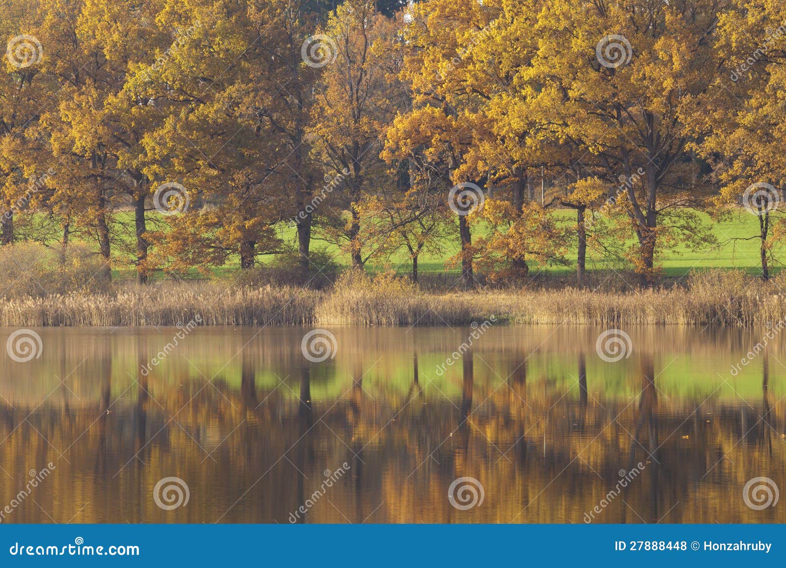 Autumn trees reflection stock photo. Image of lake, nature - 27888448