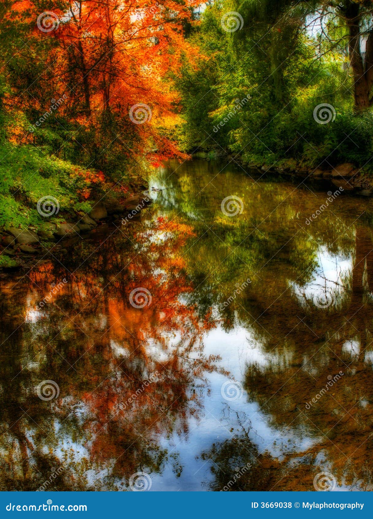 Autumn Trees Reflection stock photo. Image of scarlet - 3669038