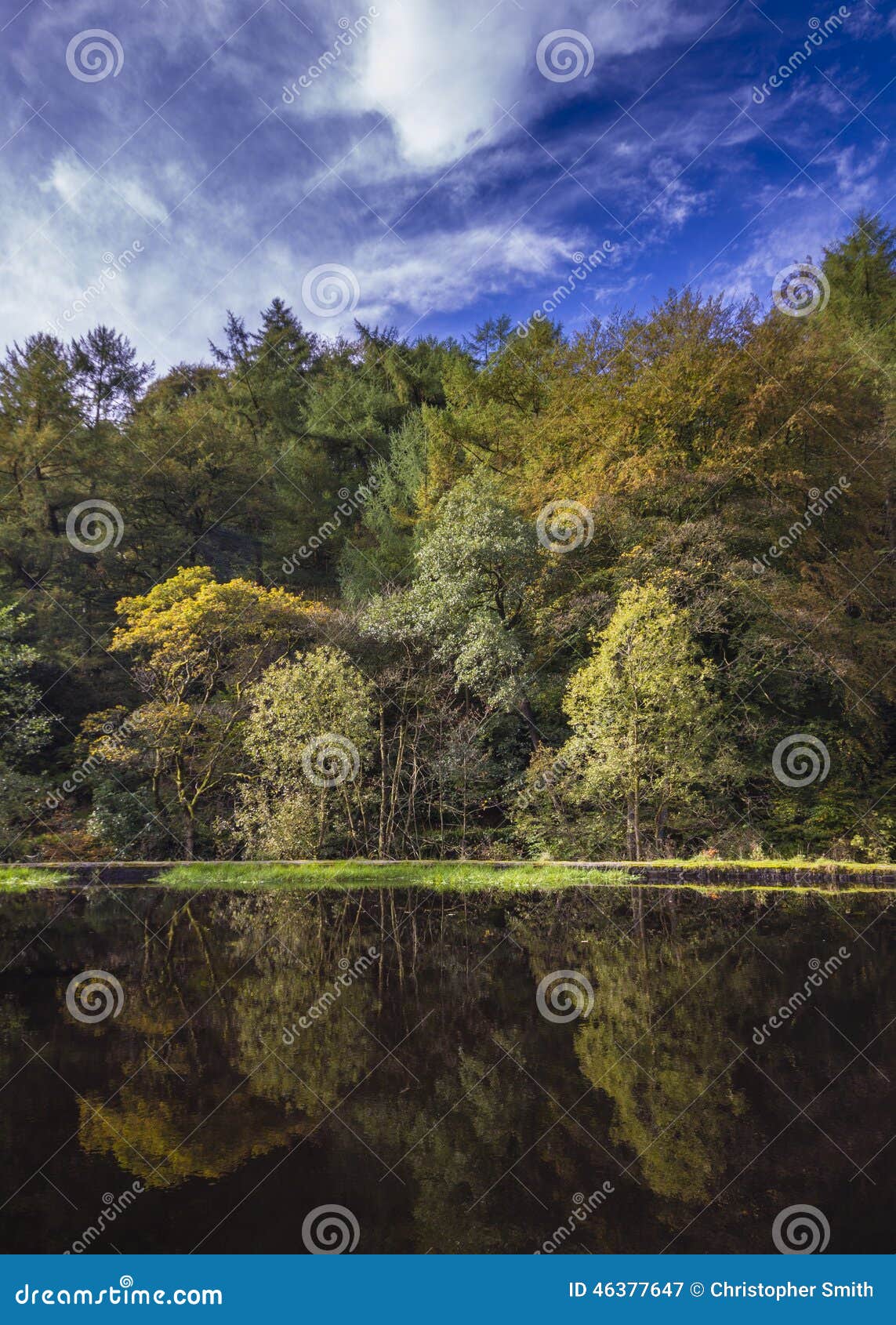 Autumn Trees Reflection stock image. Image of blue, leaves - 46377647
