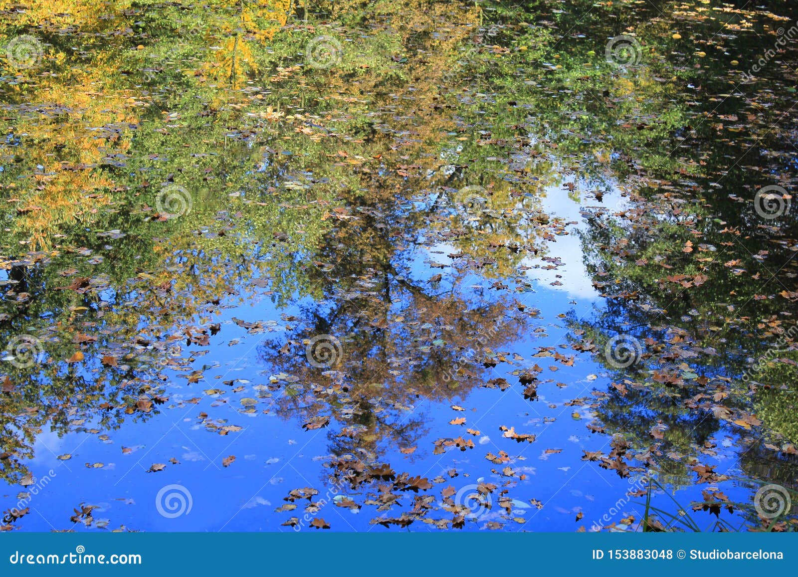 Autumn trees reflection stock photo. Image of nature - 153883048