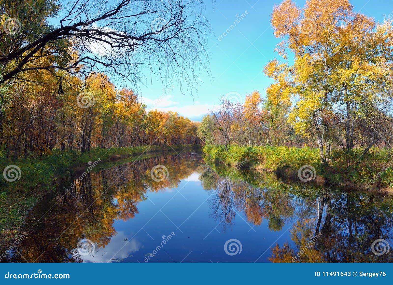Autumn Trees and Reflection in Water Stock Image - Image of natural ...