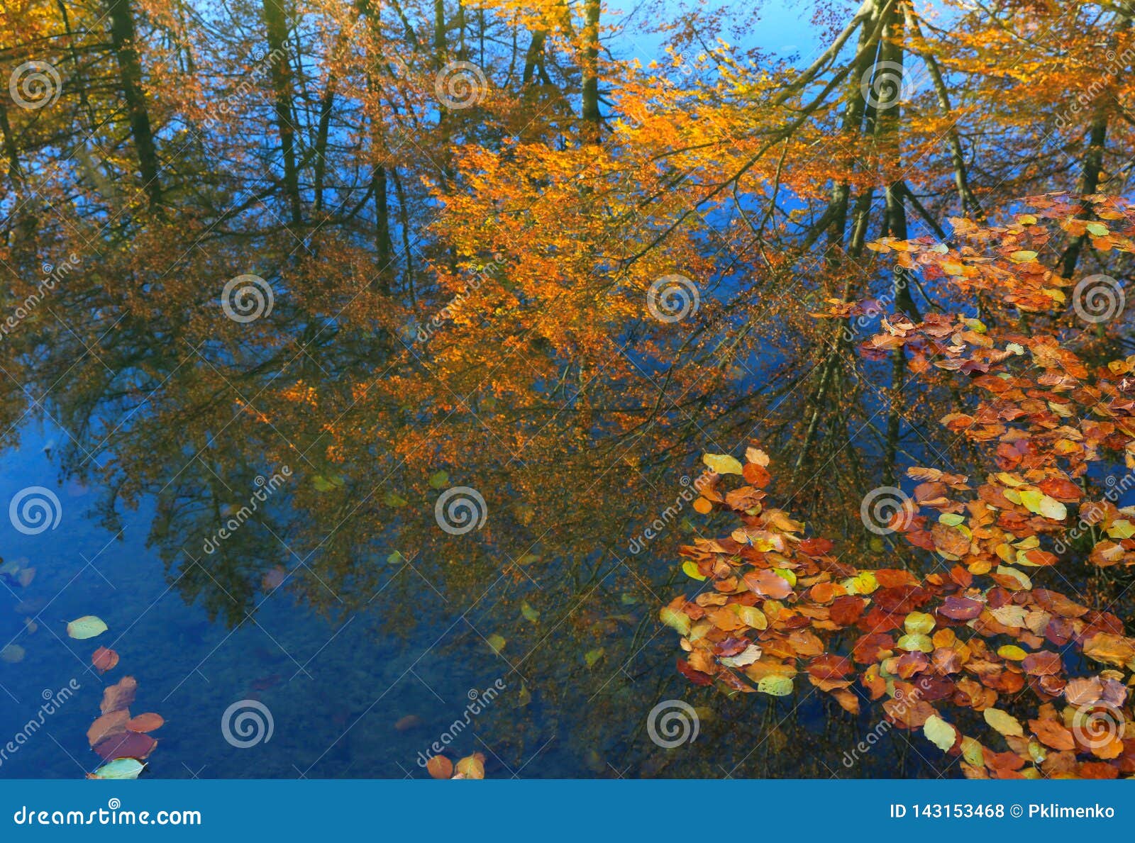 Autumn Trees Reflection in Water Stock Photo - Image of decorative ...