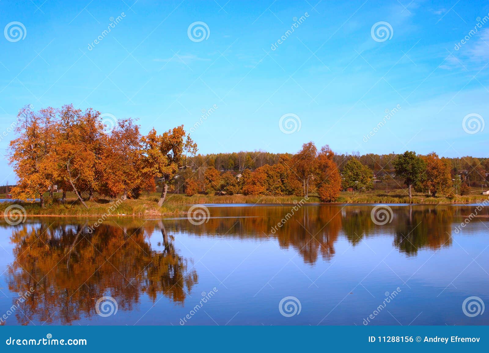 Autumn trees on the river stock photo. Image of plant - 11288156