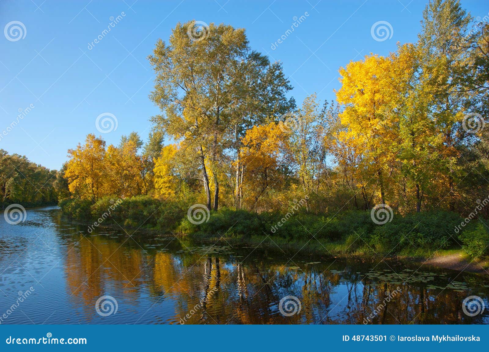 Autumn trees by the river stock image. Image of park - 48743501