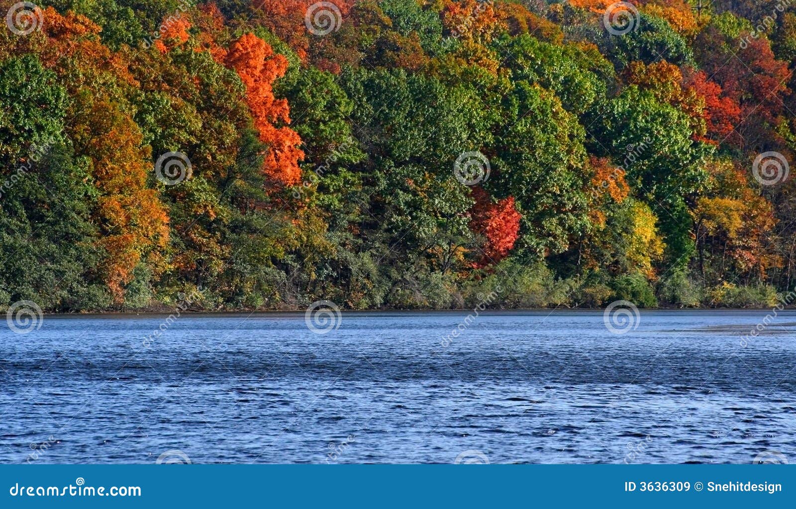 Autumn Trees by the River Side Stock Image - Image of scarlet, lake ...
