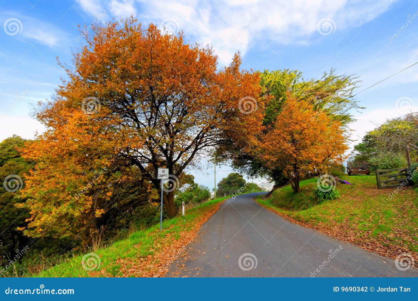 Autumn trees beside road stock photo. Image of leaves - 9690342